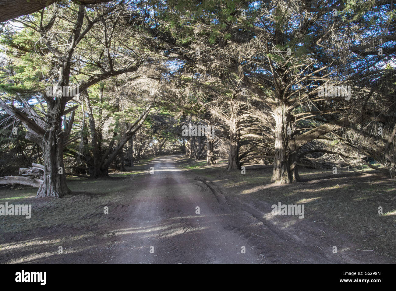 Sheep station hi-res stock photography and images - Alamy