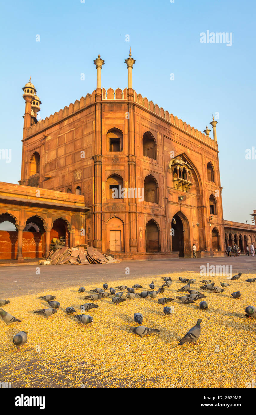 Jama masjid delhi entrance hi-res stock photography and images - Alamy