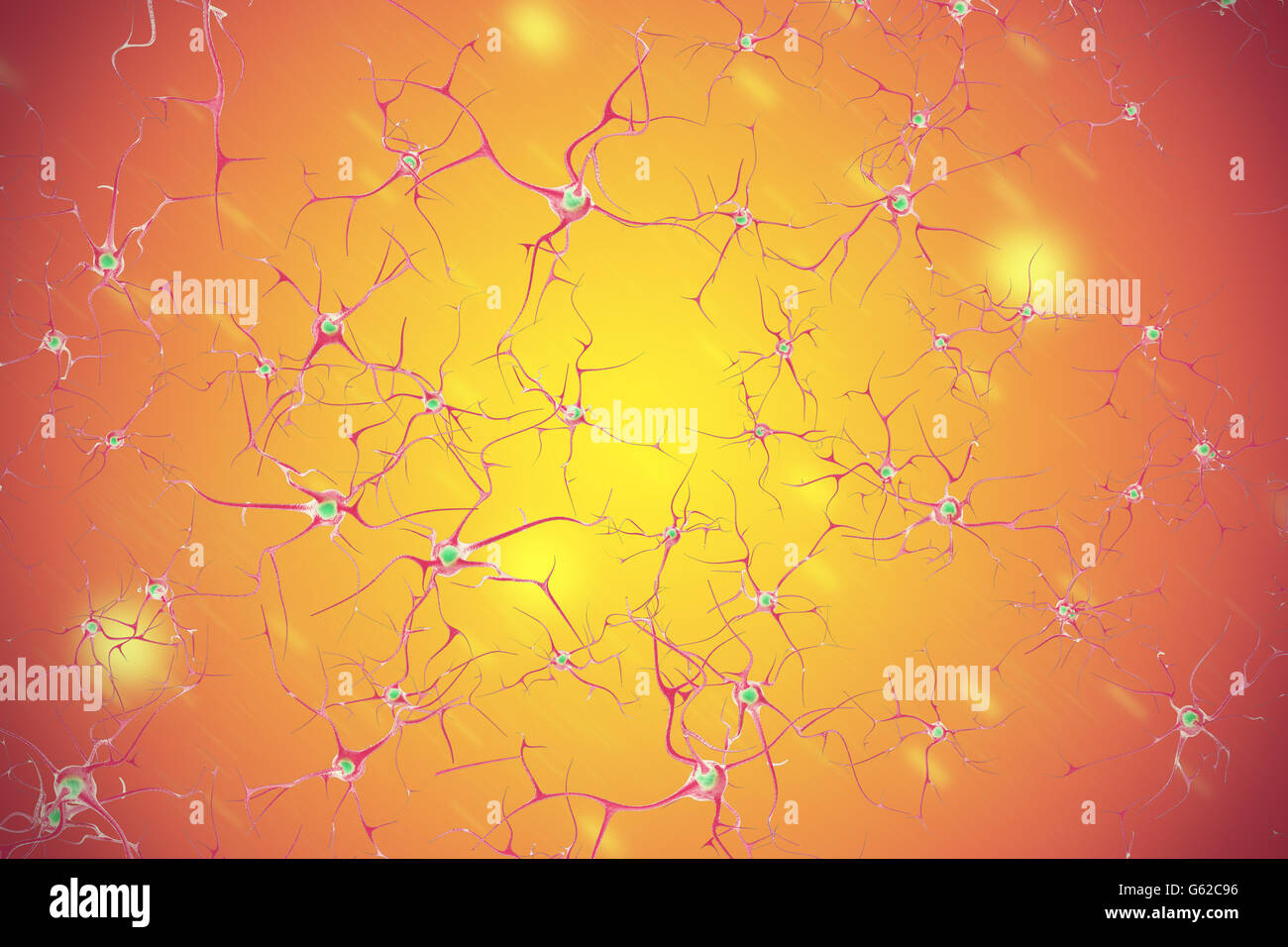 Nervous system 3d illustration of brain cells Stock Photo - Alamy