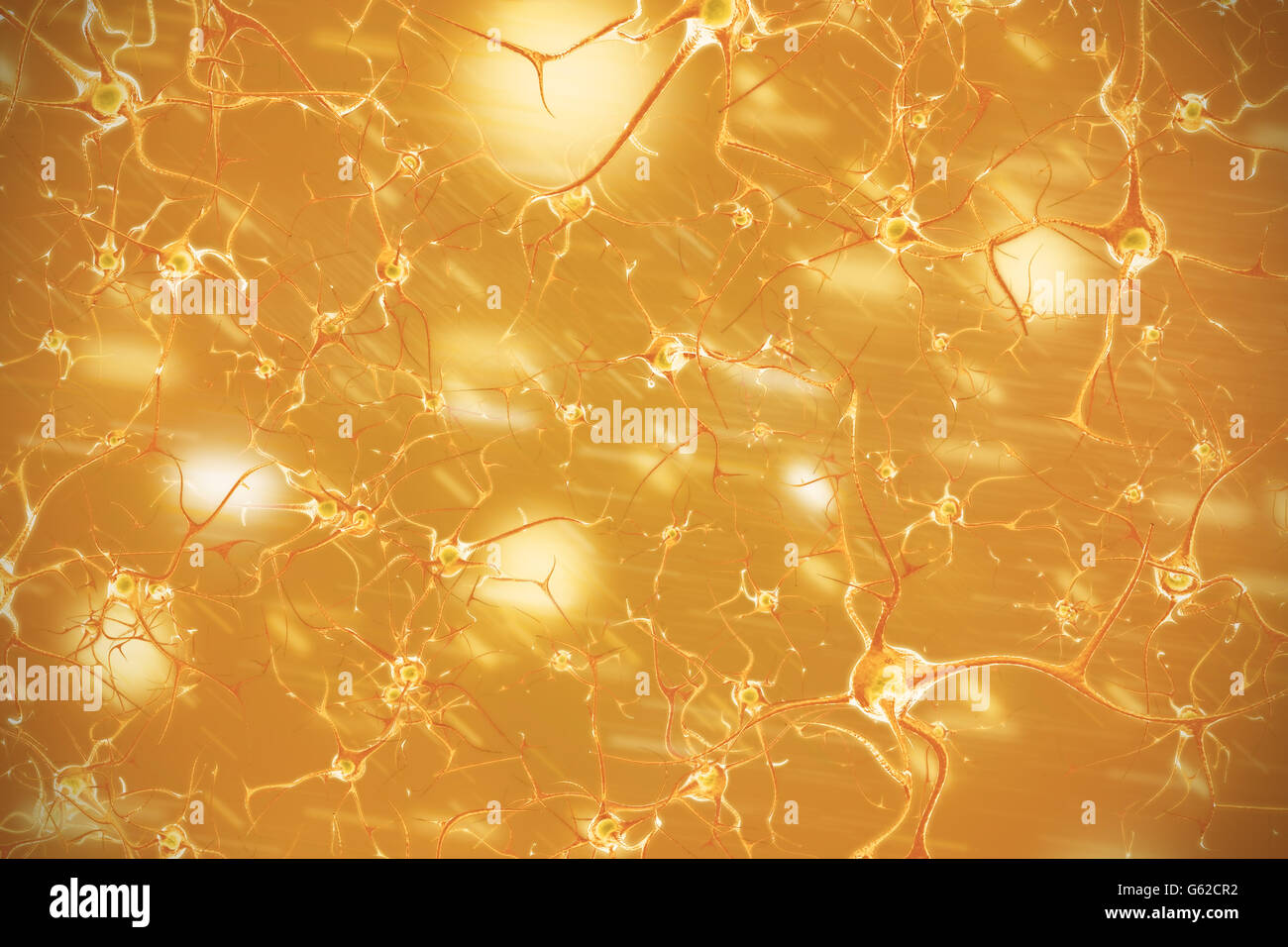 Nervous system 3d illustration of brain cells Stock Photo - Alamy