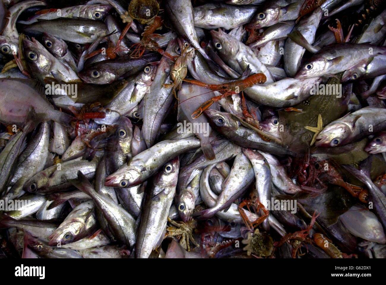 A watchdog warned sir john bourn hi-res stock photography and images ...