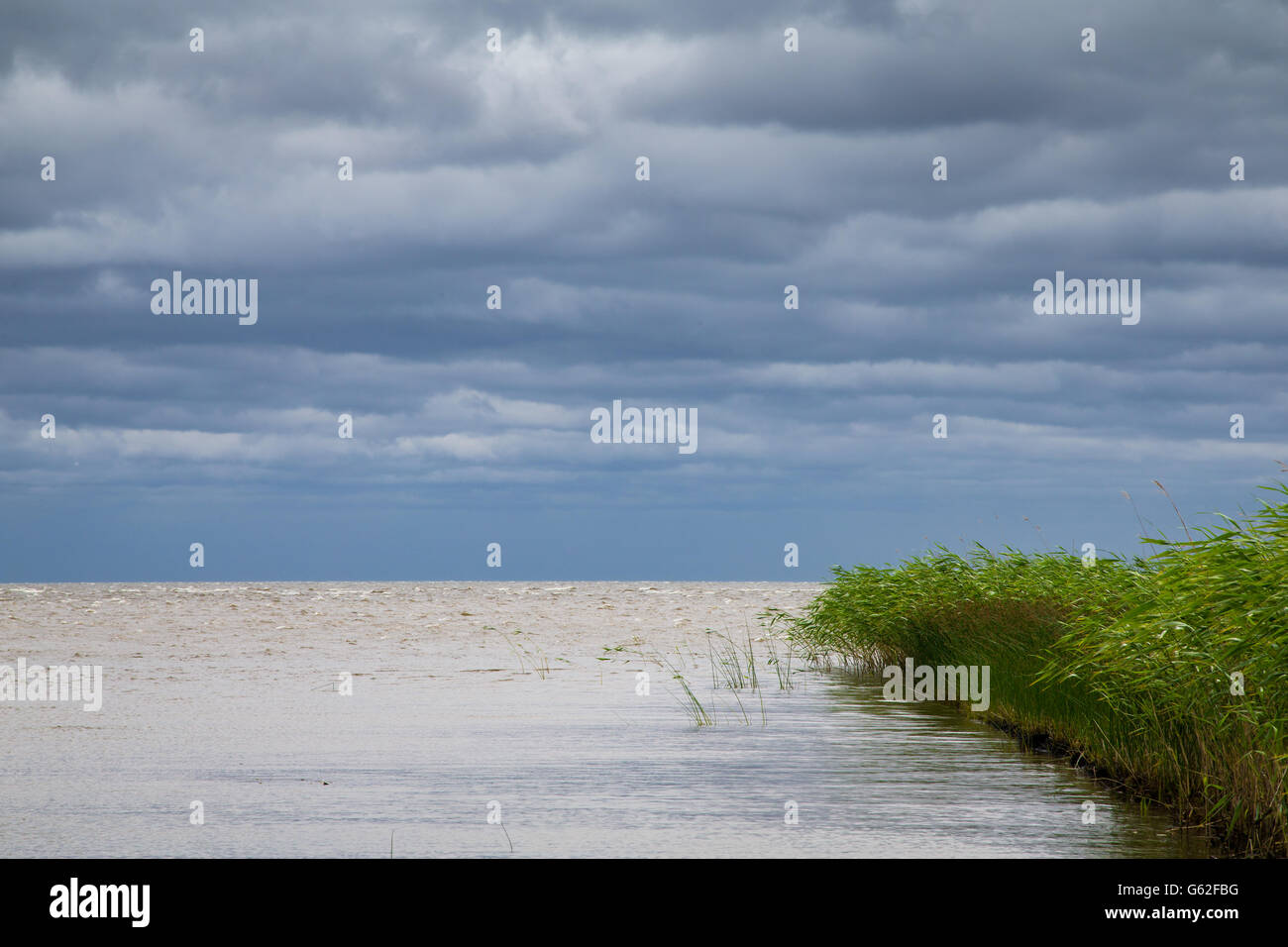 Peipus lake hi-res stock photography and images - Alamy