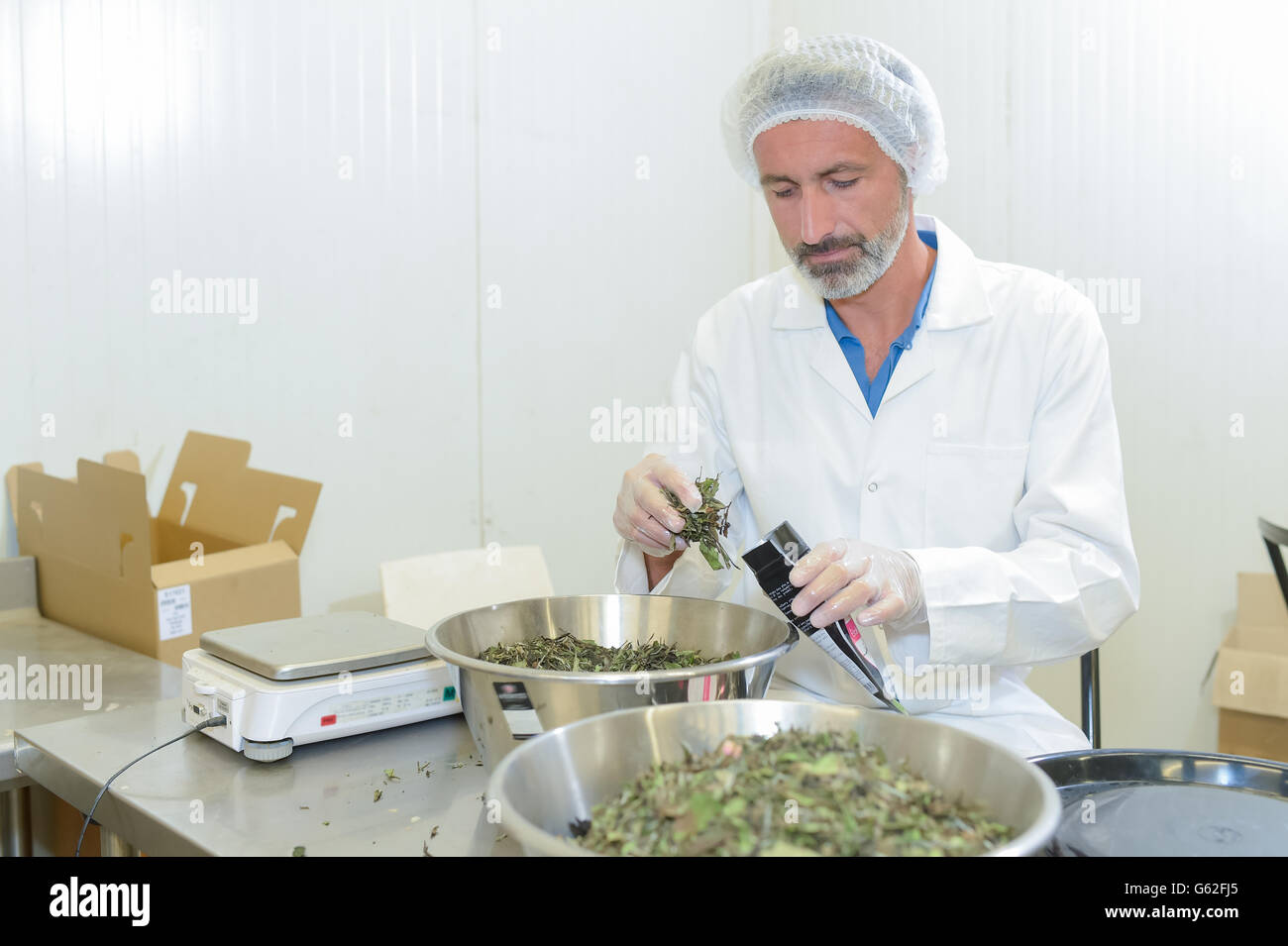 Food transformation process hi-res stock photography and images - Alamy