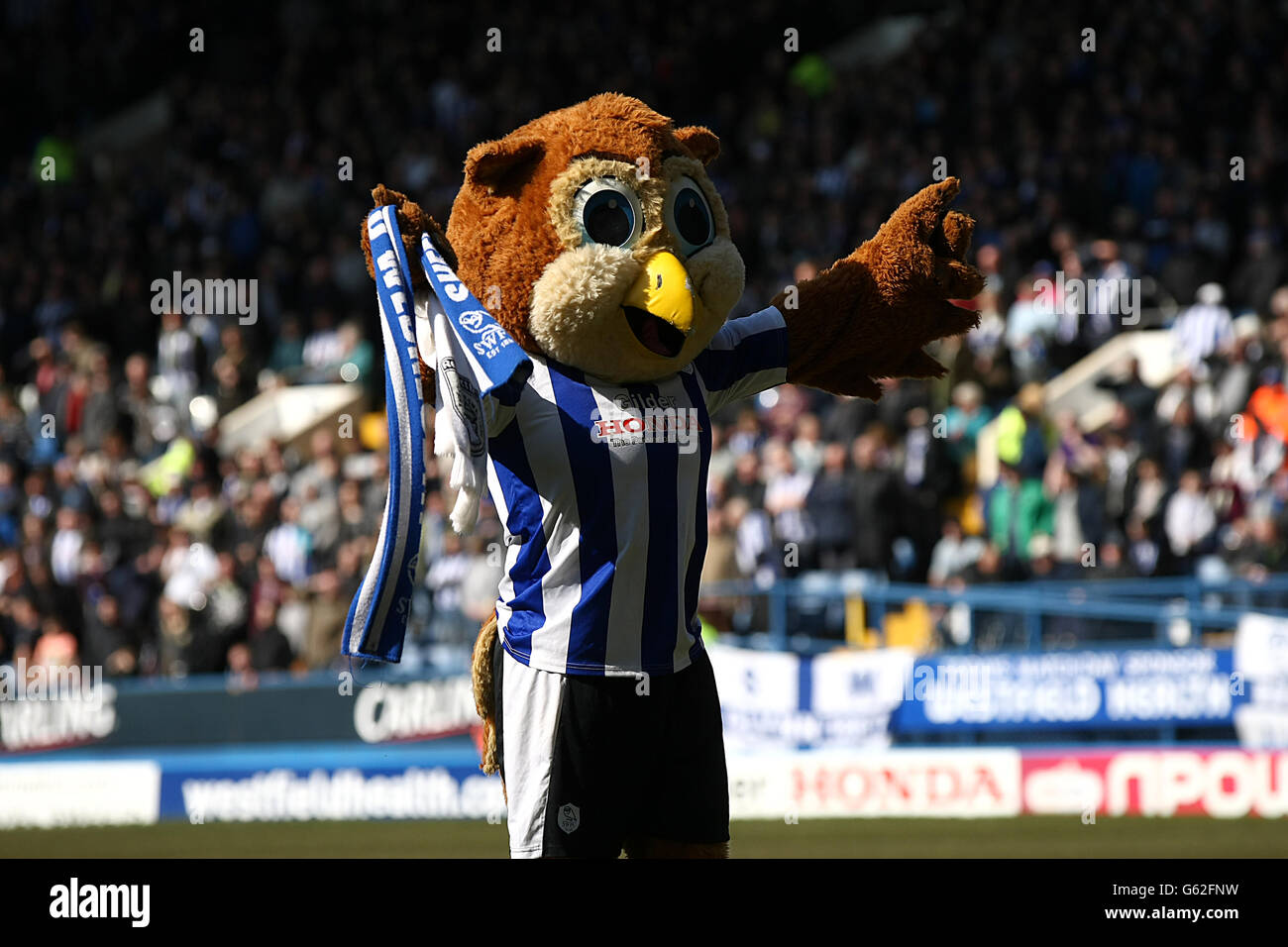 Sheffield wednesday mascot barney owl hi-res stock photography and ...