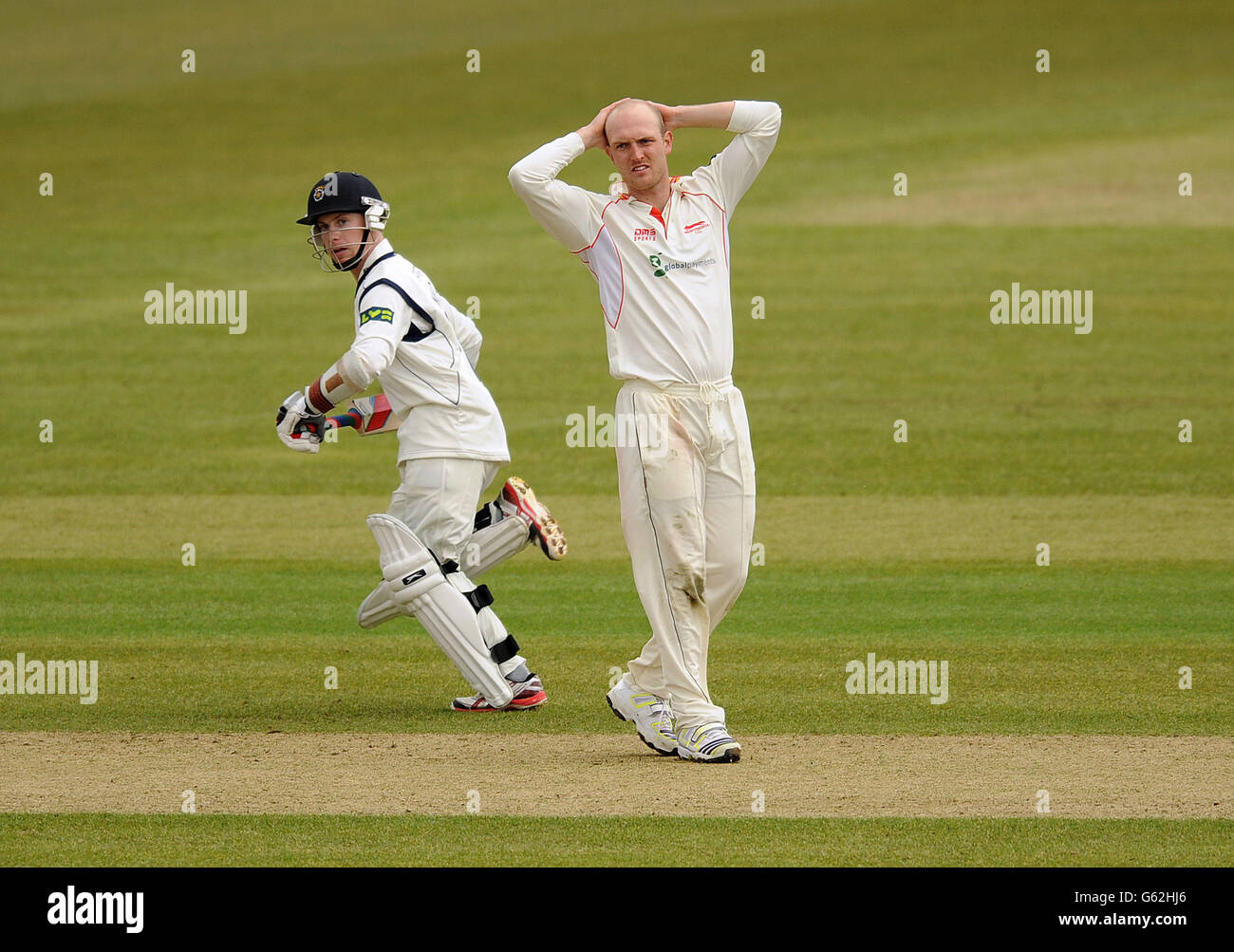 Cricket head in hands High Resolution Stock Photography and Images - Alamy