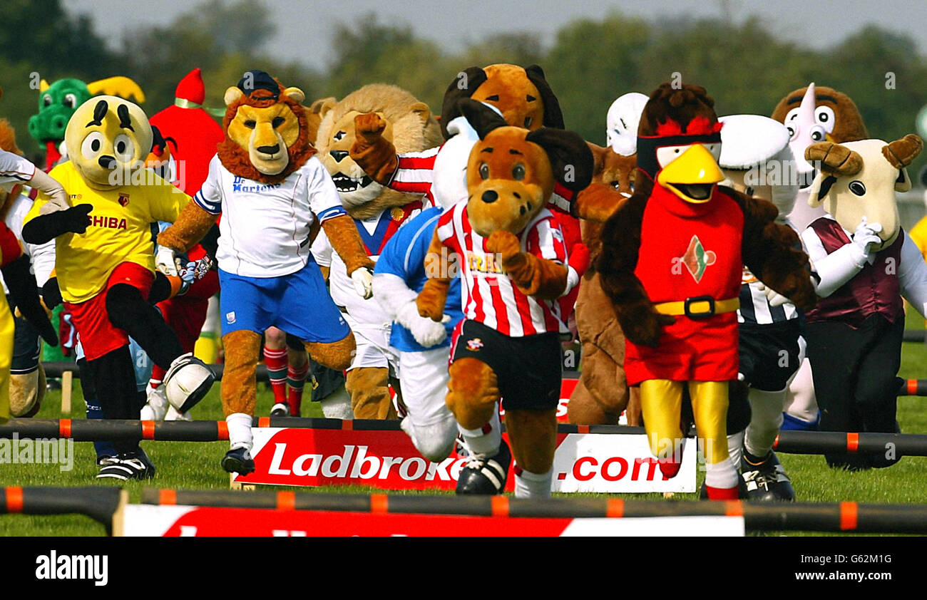 Mascot Grand National. Mascots from around the country take part in the ...
