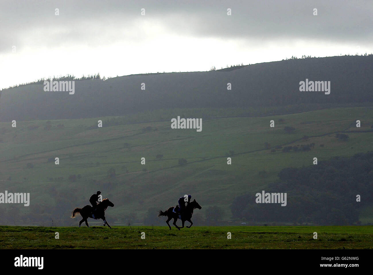Gallops in Middleham Stock Photo - Alamy