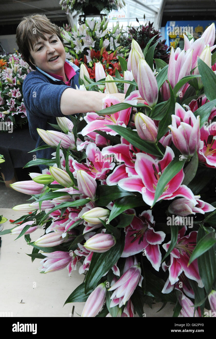 Loraine Hart from Harts Nursery in South Cheshire prepares a display of ...