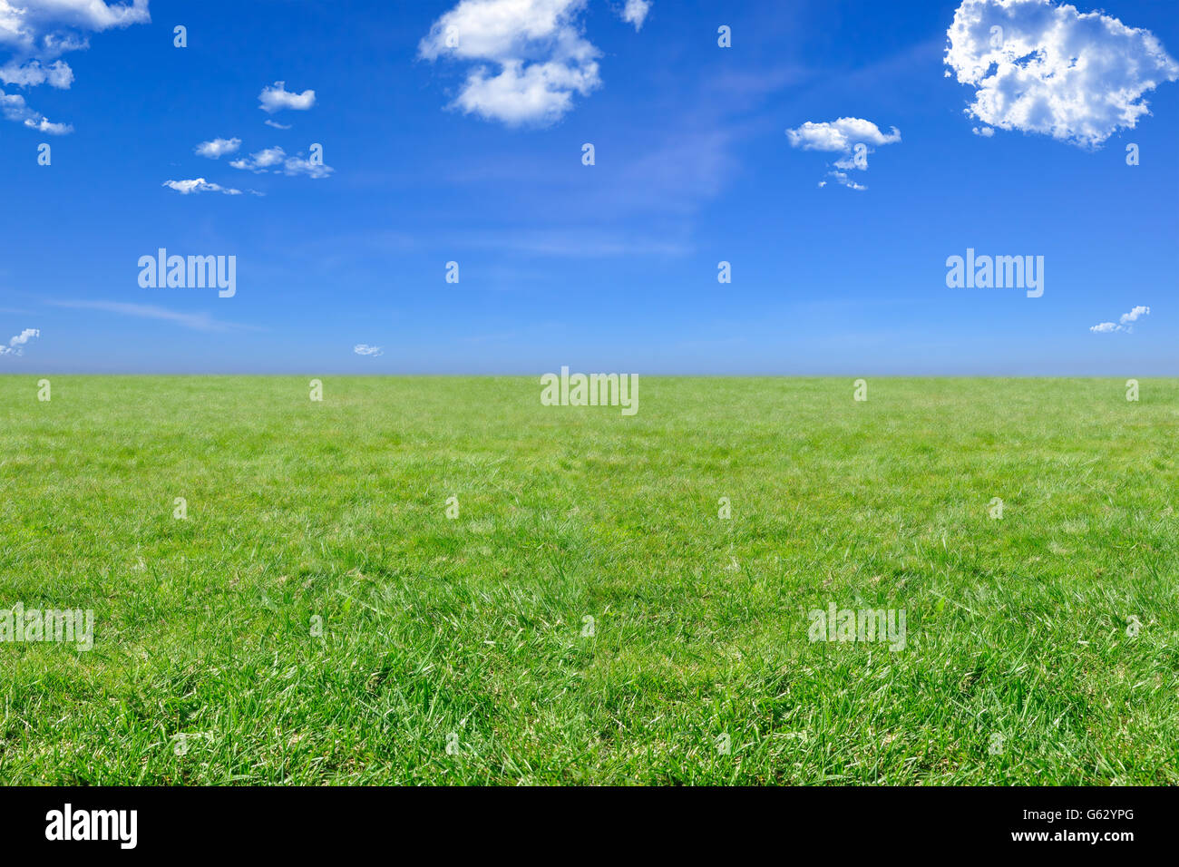 Background image of an empty green field with blue sky Stock Photo - Alamy