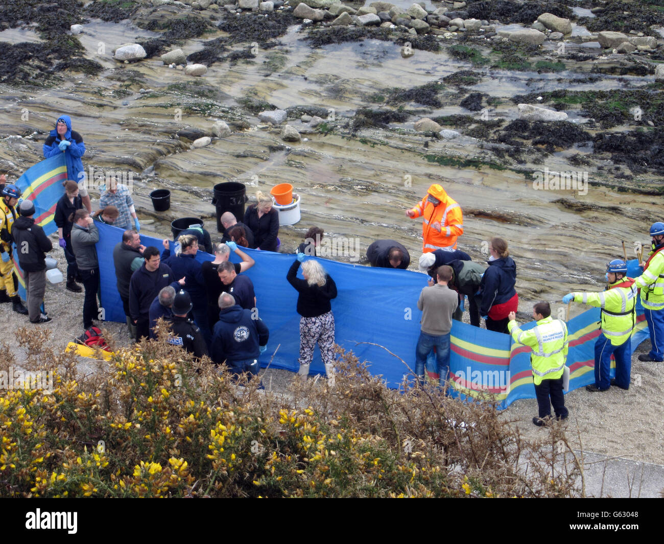 A general view of the scene at Castle Beach in Falmouth, Cornwall ...