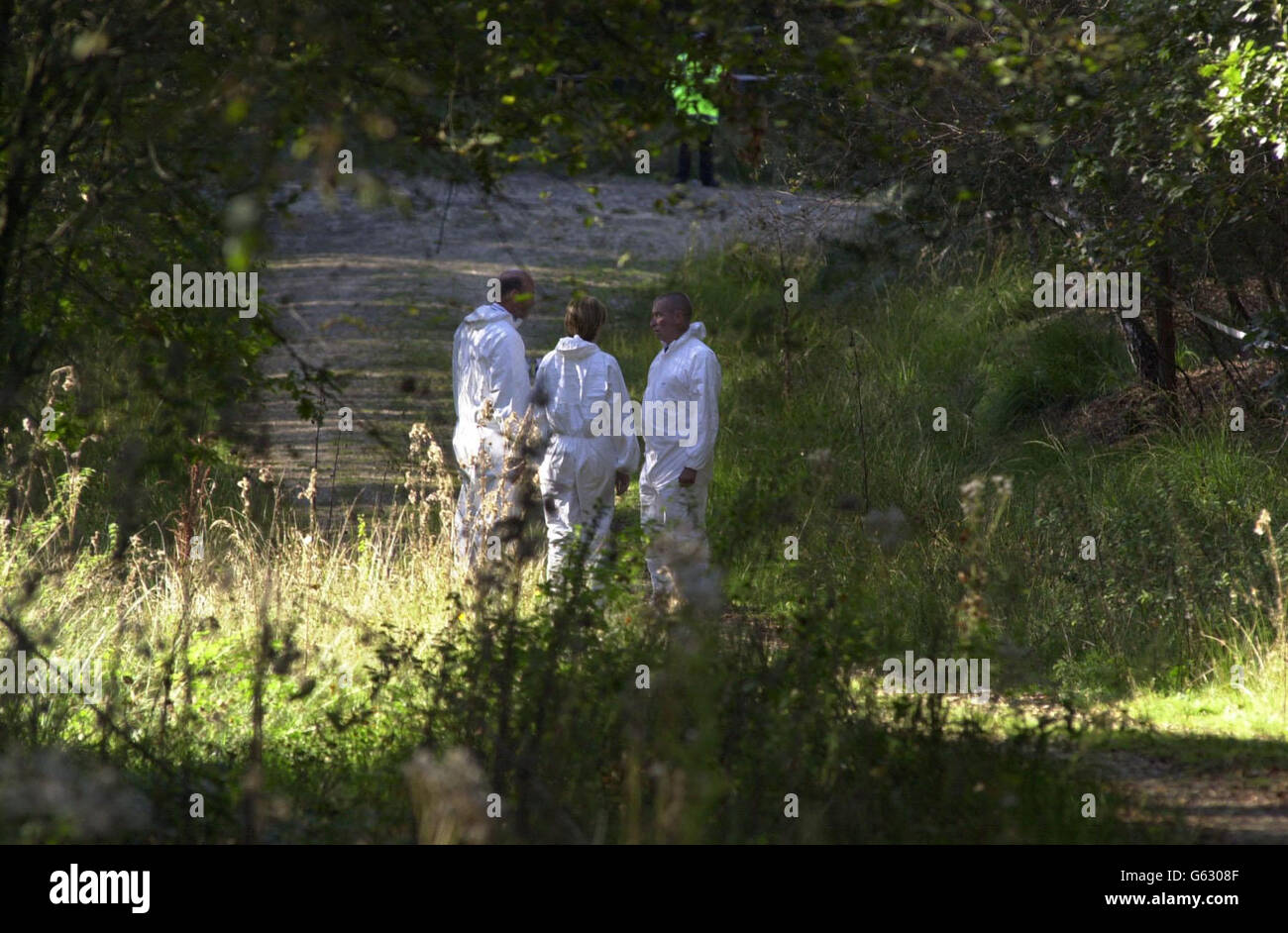 Death crime woodland forest police forensic photo hi-res stock ...