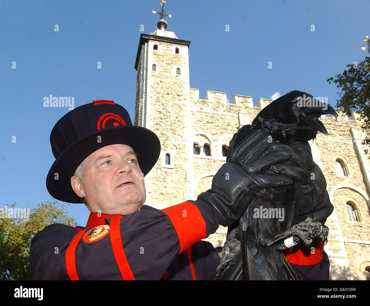 Tower of london beefeater raven hi-res stock photography and images - Alamy
