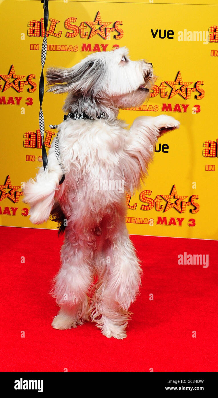 "All Stars" Premiere - London Stock Photo - Alamy