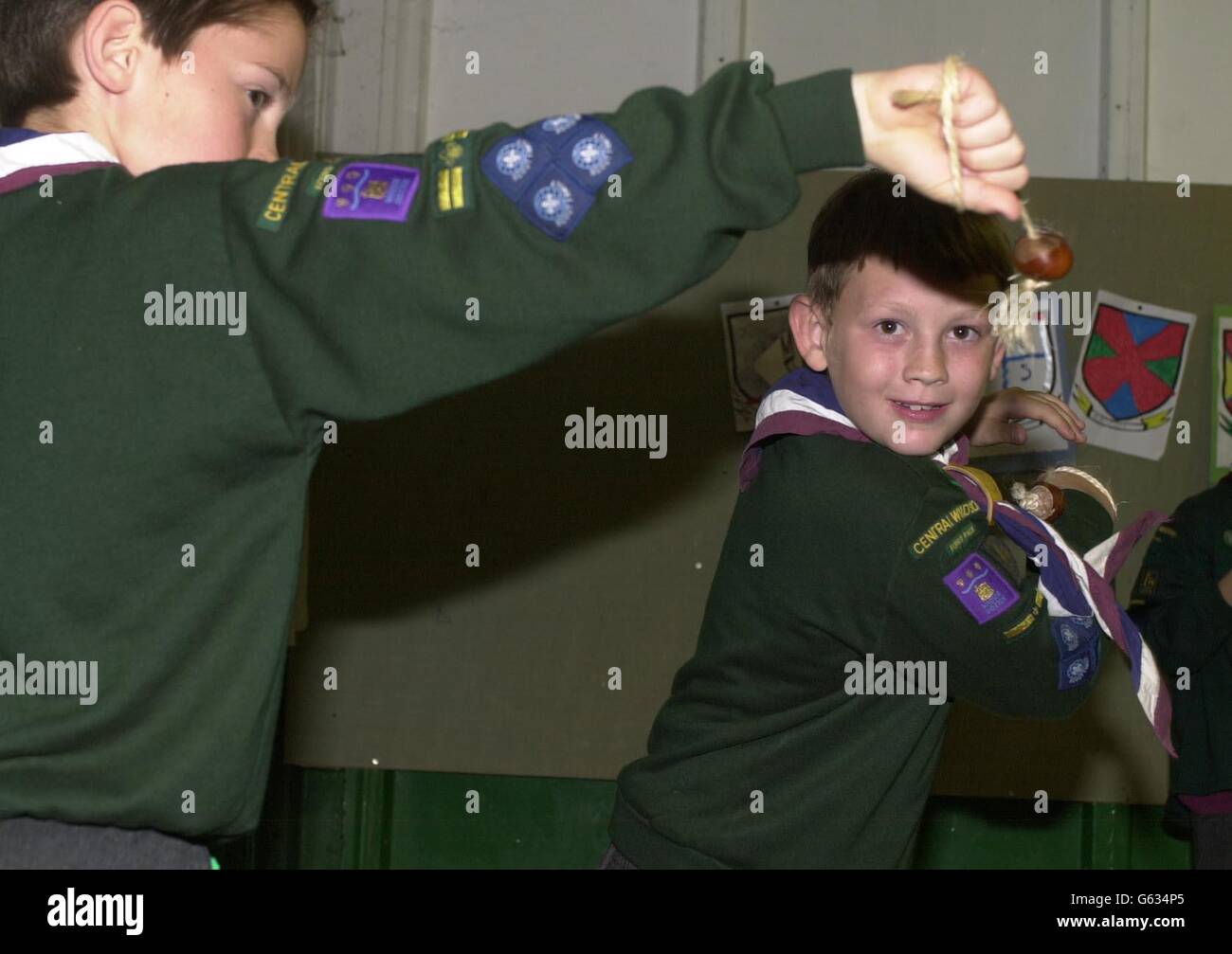 Cubs of the Central Windsor Pack playing Conkers. The group of cub ...