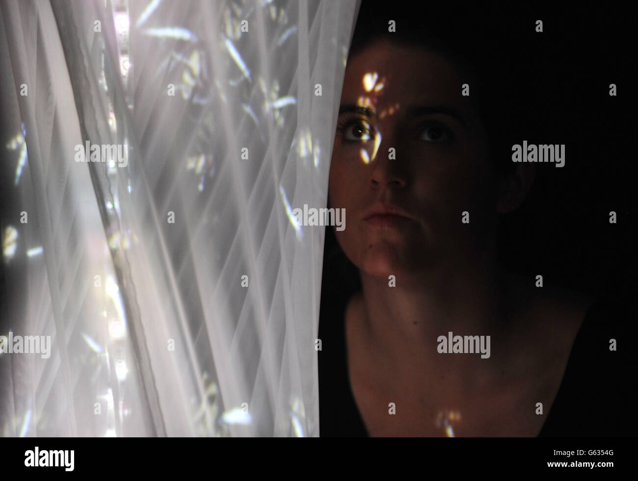 Zoe middleton looks illuminated insect traps hi-res stock photography ...