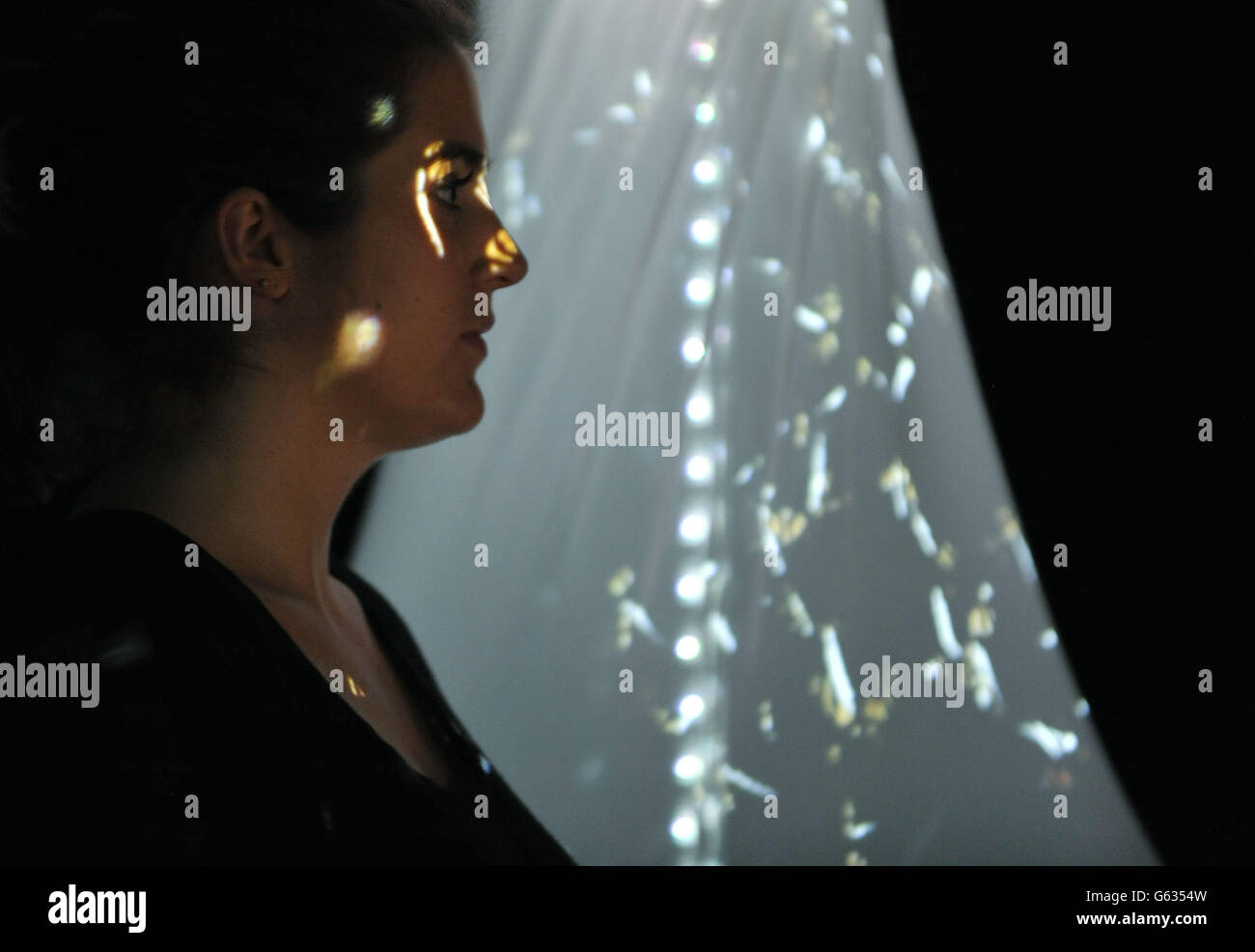 Representing trapped insects new insects au gratin installation hi-res ...