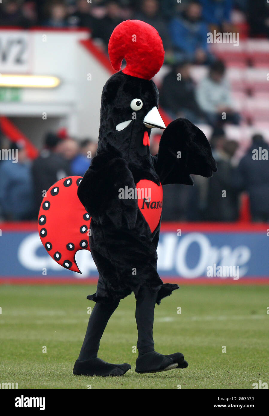 Bury mascot hi-res stock photography and images - Alamy