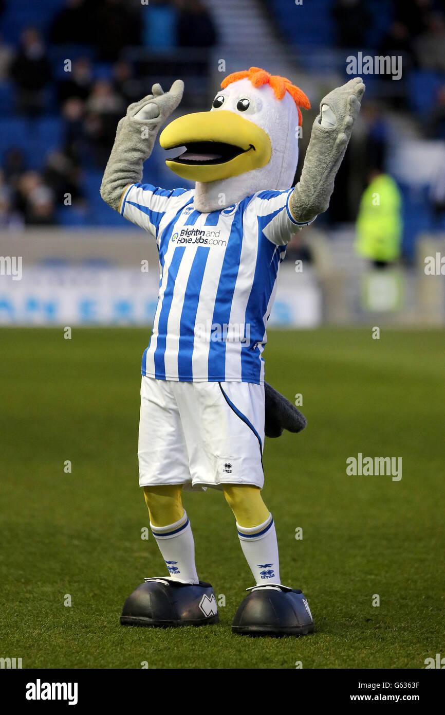 Brighton and hove albion mascot hi-res stock photography and images - Alamy