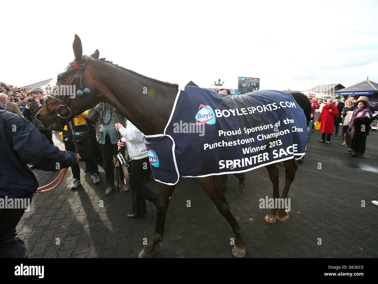 Sprinter sacre champion chase hi-res stock photography and images - Alamy