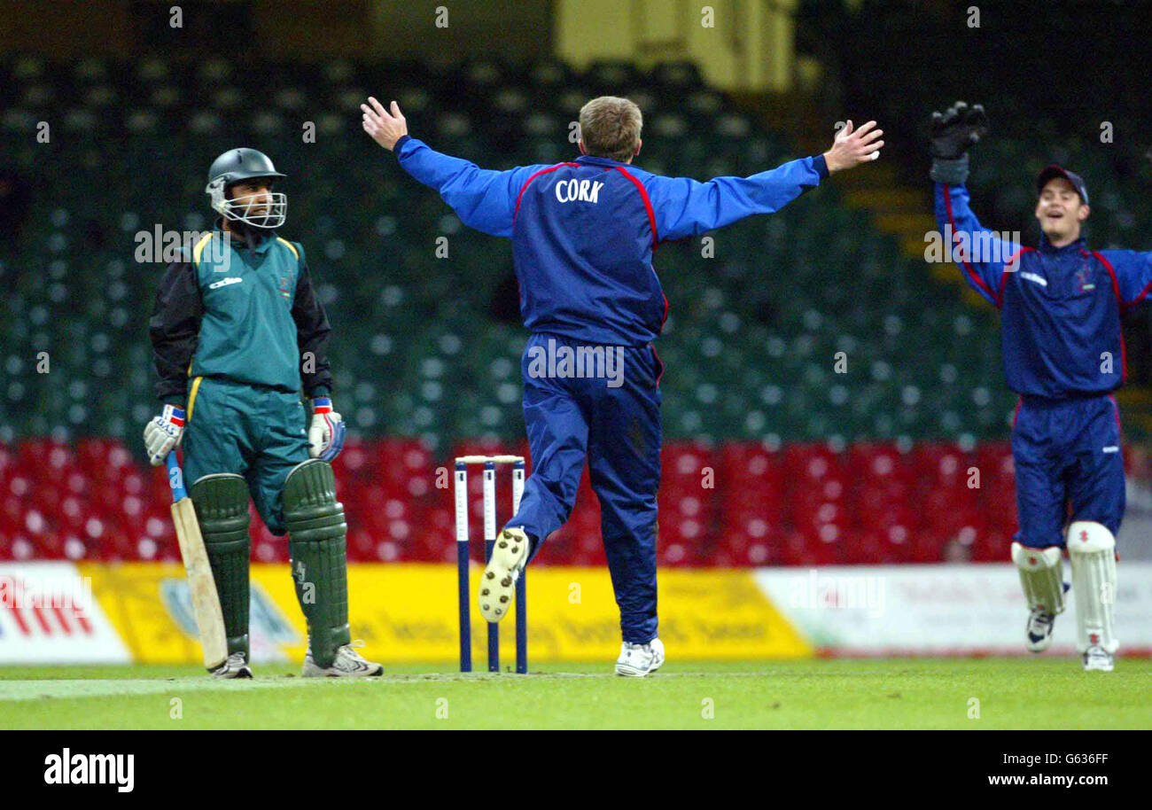 Sport cricket dominic cork hi-res stock photography and images - Alamy