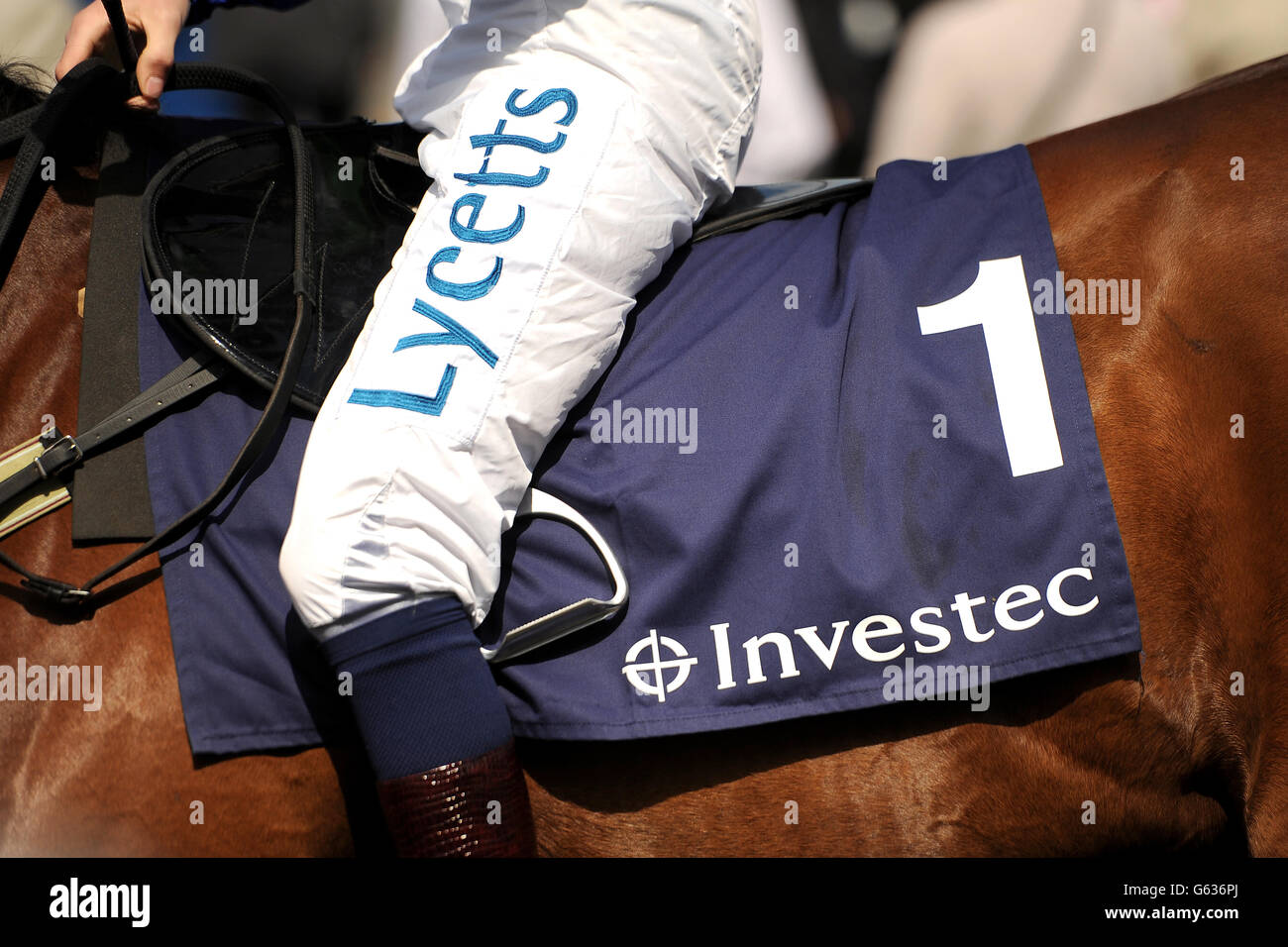 Horses investec brand branding advert advertising gspo gensport ampics ...