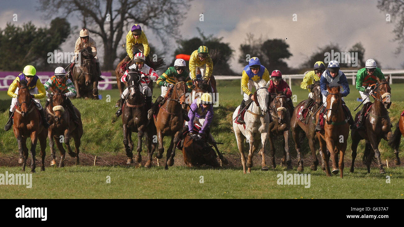 Patrick mullins falls hi-res stock photography and images - Alamy