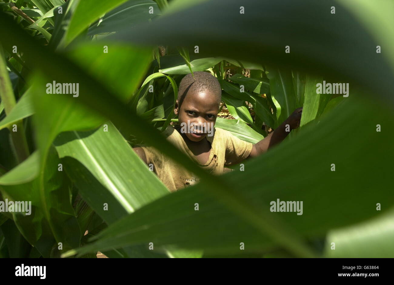Famine agriculture africa hi-res stock photography and images - Alamy