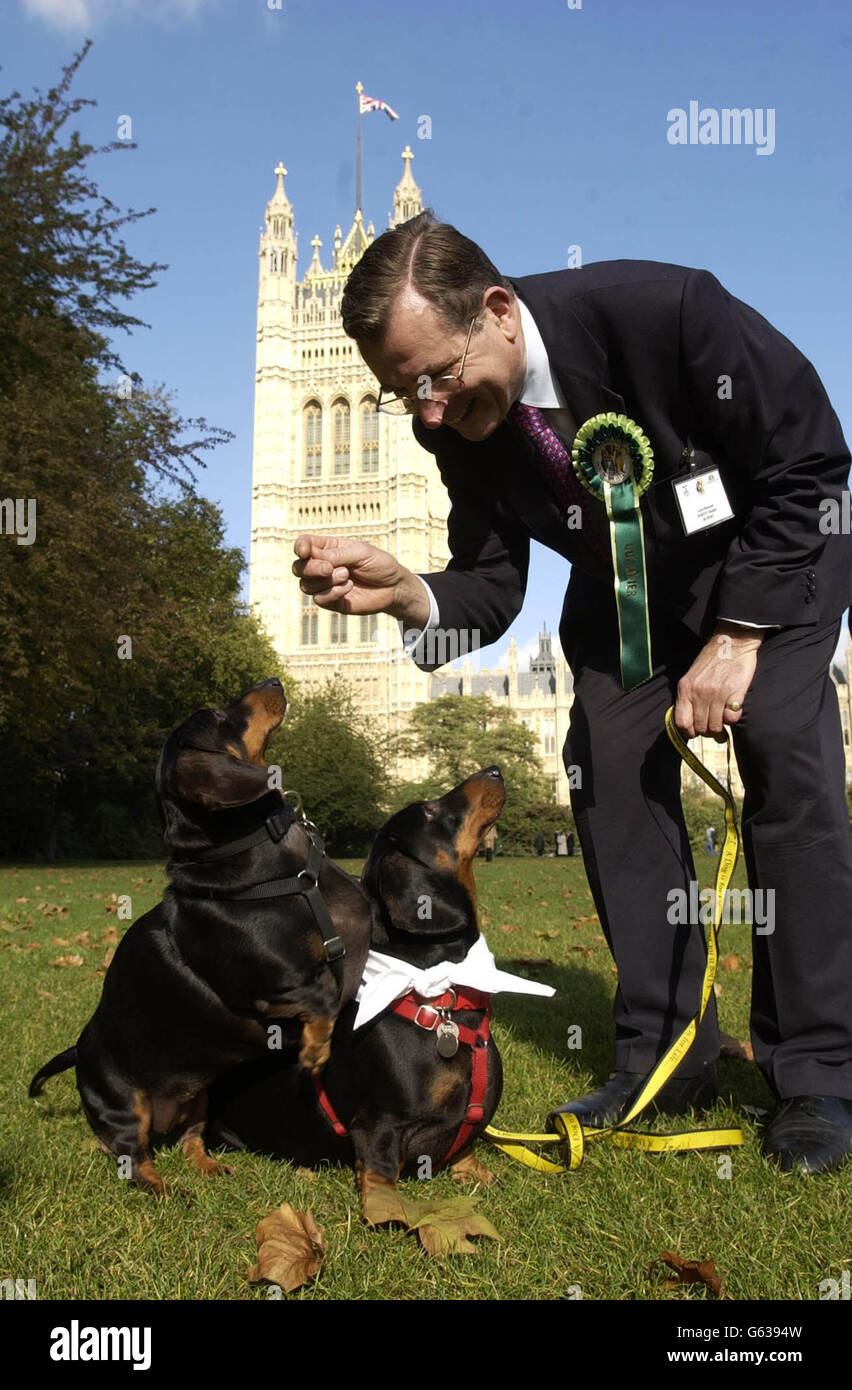 Westminster dog of the year award hi-res stock photography and images ...