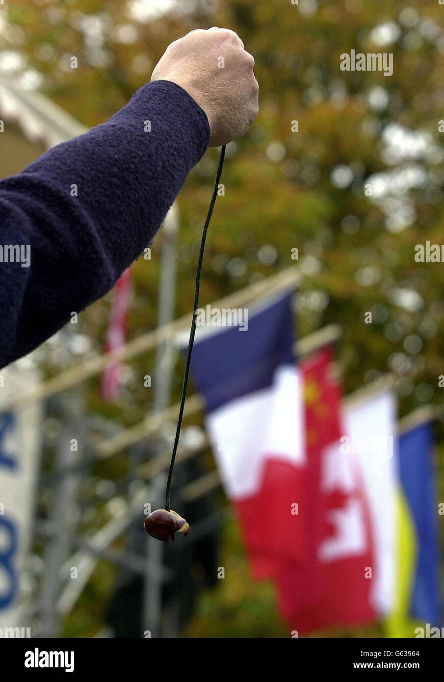 World Conker Championships Stock Photo - Alamy