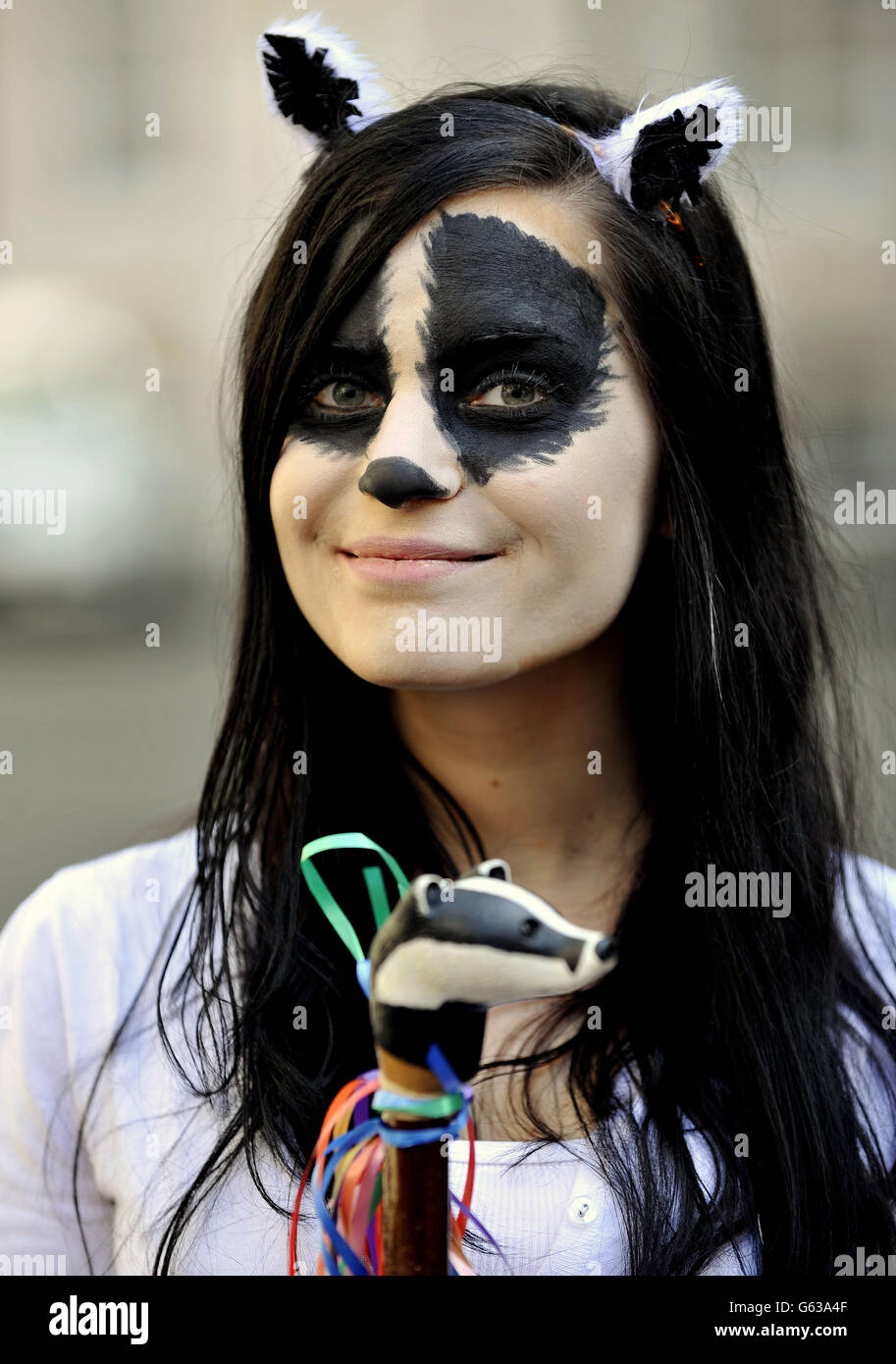 Badger cull protest Stock Photo - Alamy
