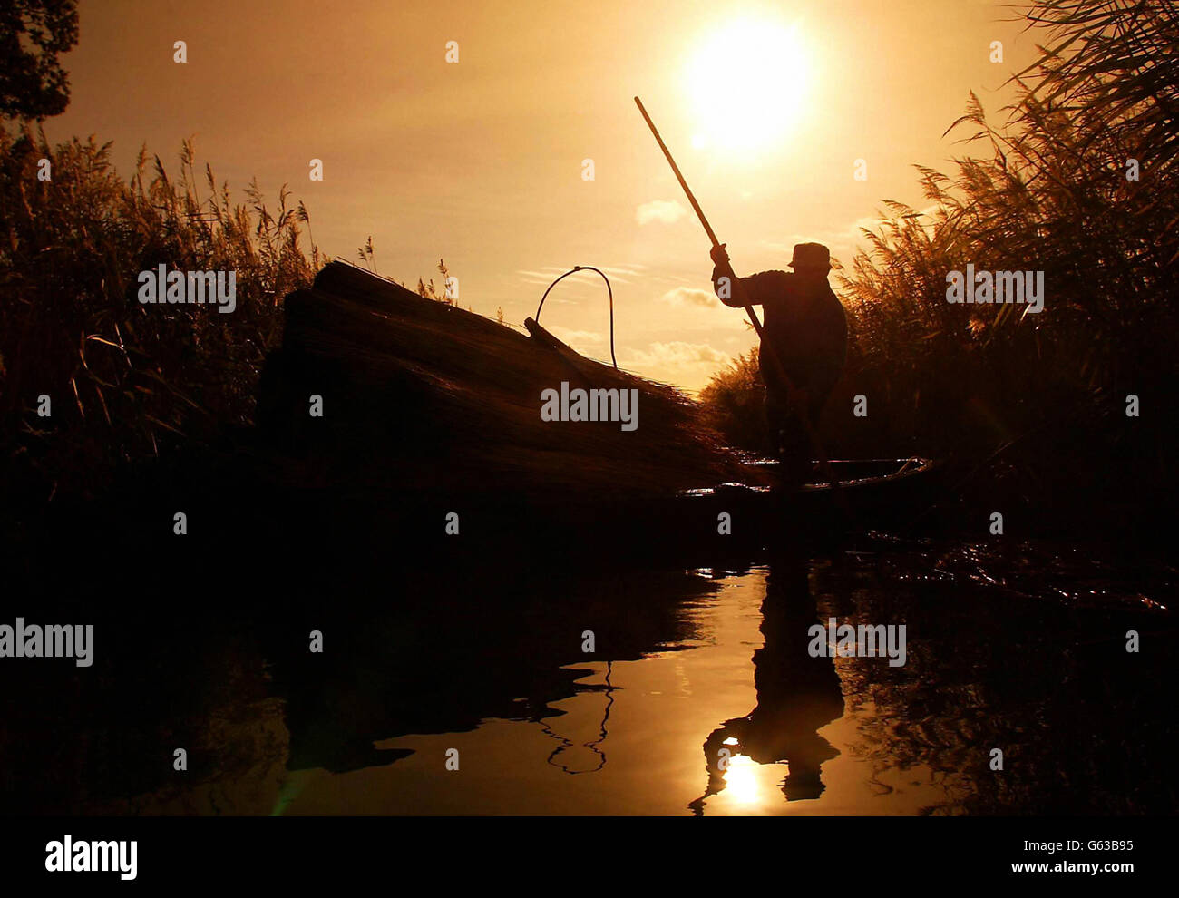Reed cutting norfolk broads hi-res stock photography and images - Alamy