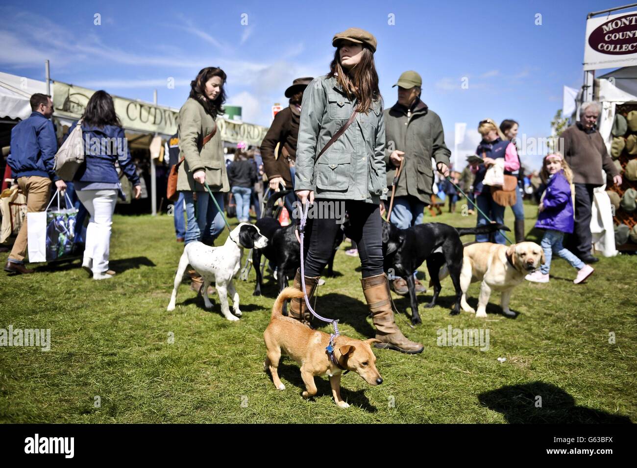 Dogs are walked around the trade stand areas during day three of the ...