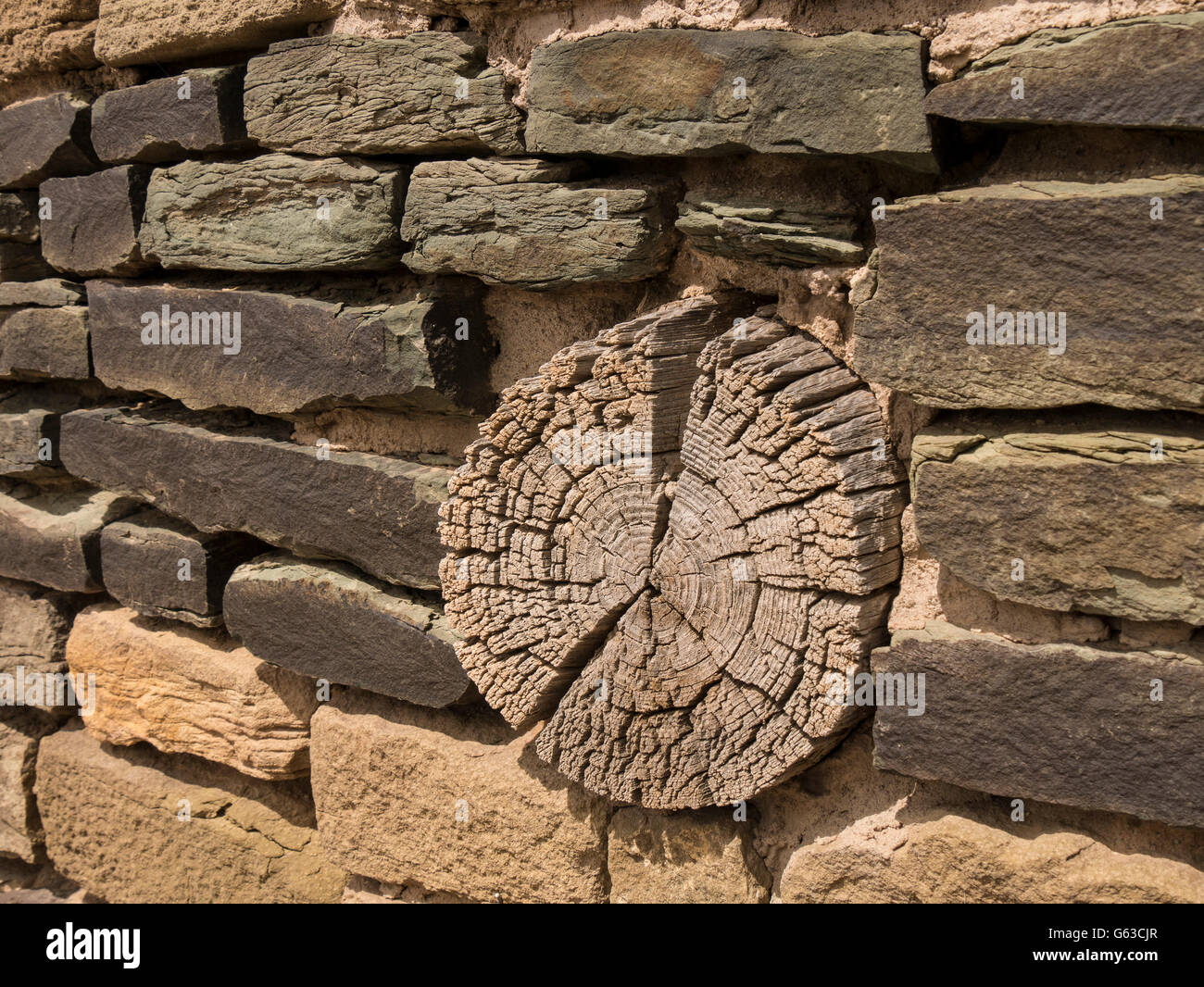 Log in green striped wall, Aztec Ruins National Monument, Aztec, New ...