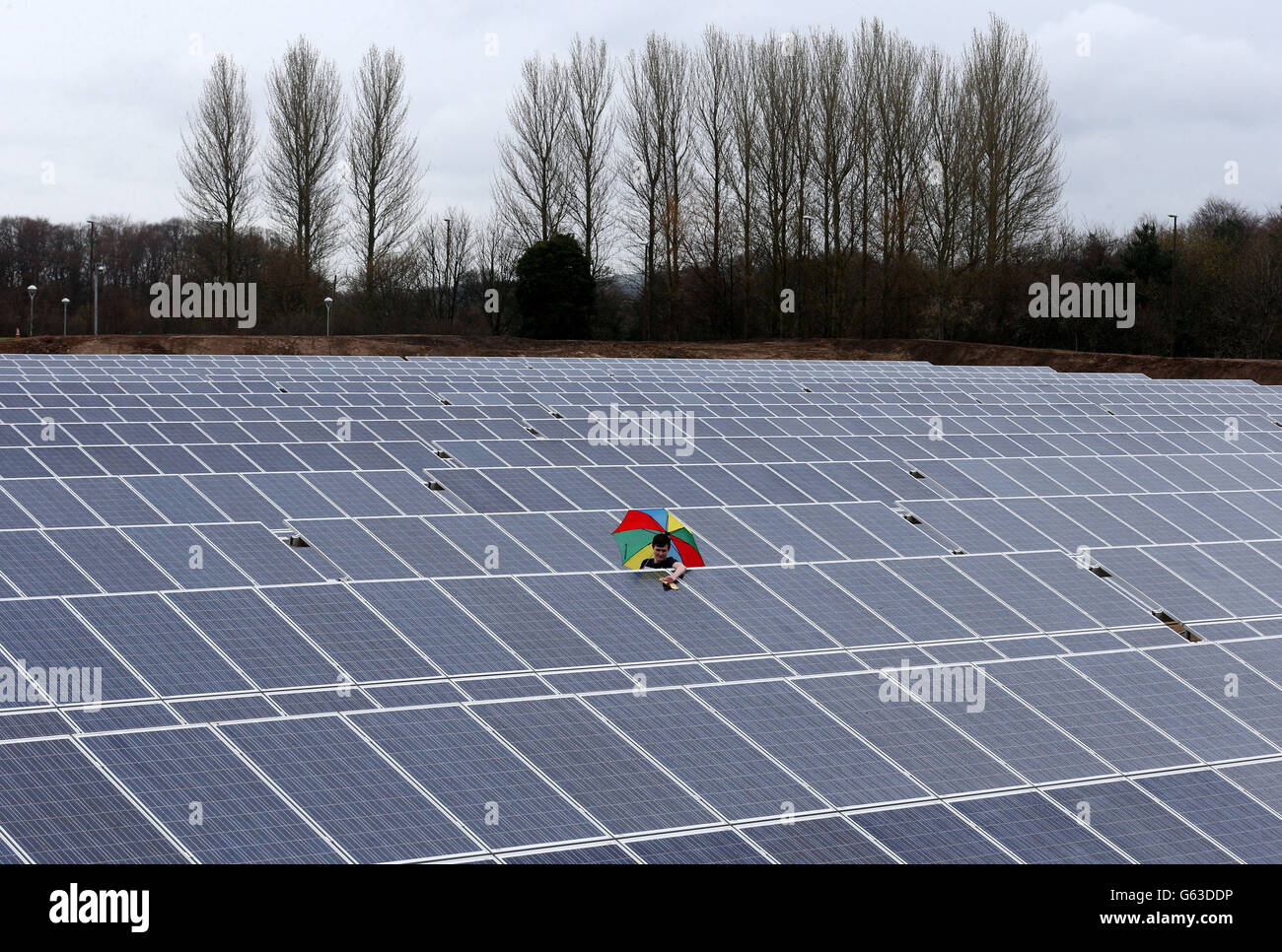 s first ever solar meadow opens Stock Photo - Alamy
