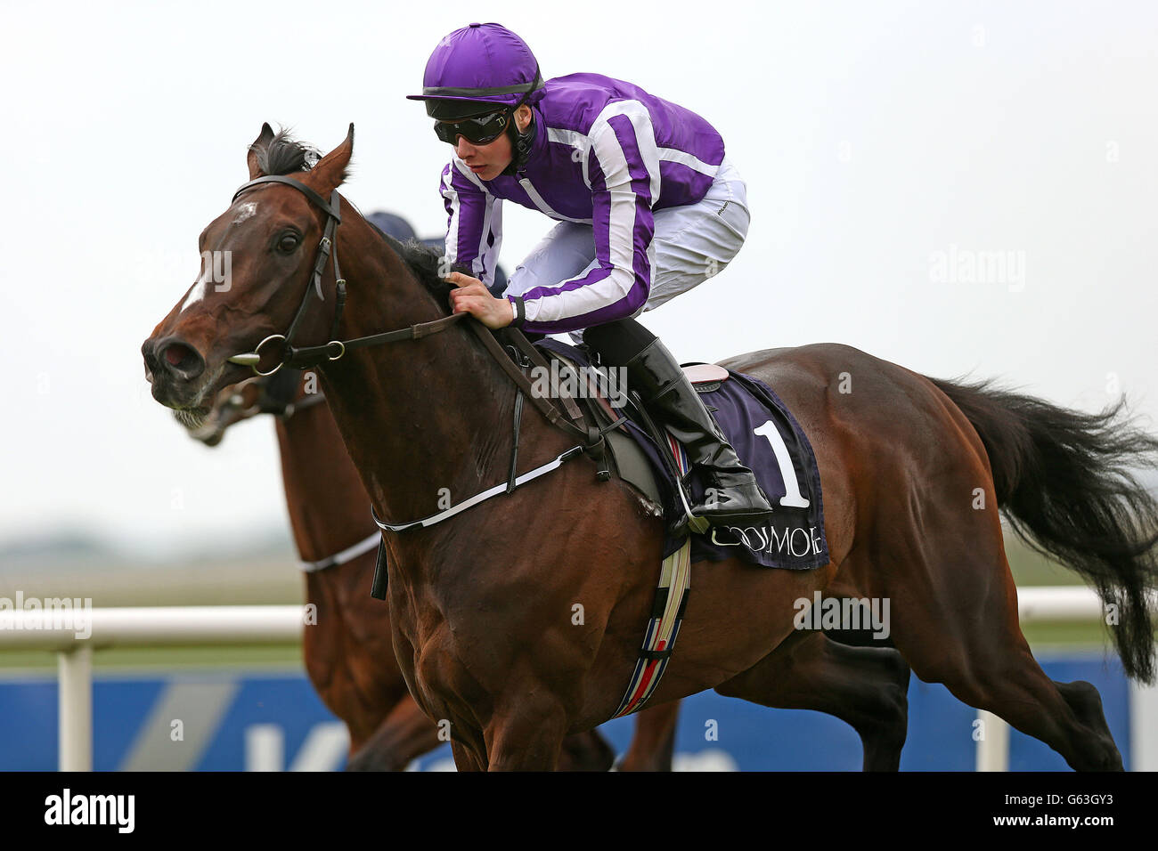 Equestrian - Newbridge Parishes Race Day - Curragh Racecourse Stock ...