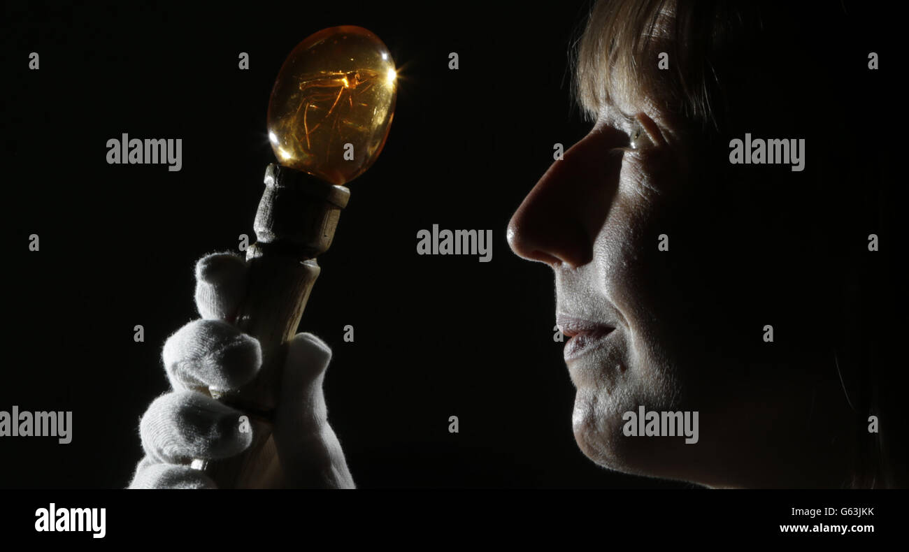 Amber cane hi-res stock photography and images - Alamy