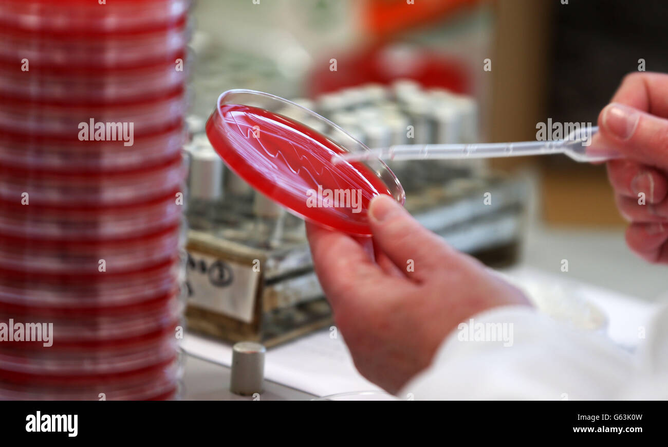 News health laboratory hi-res stock photography and images - Alamy