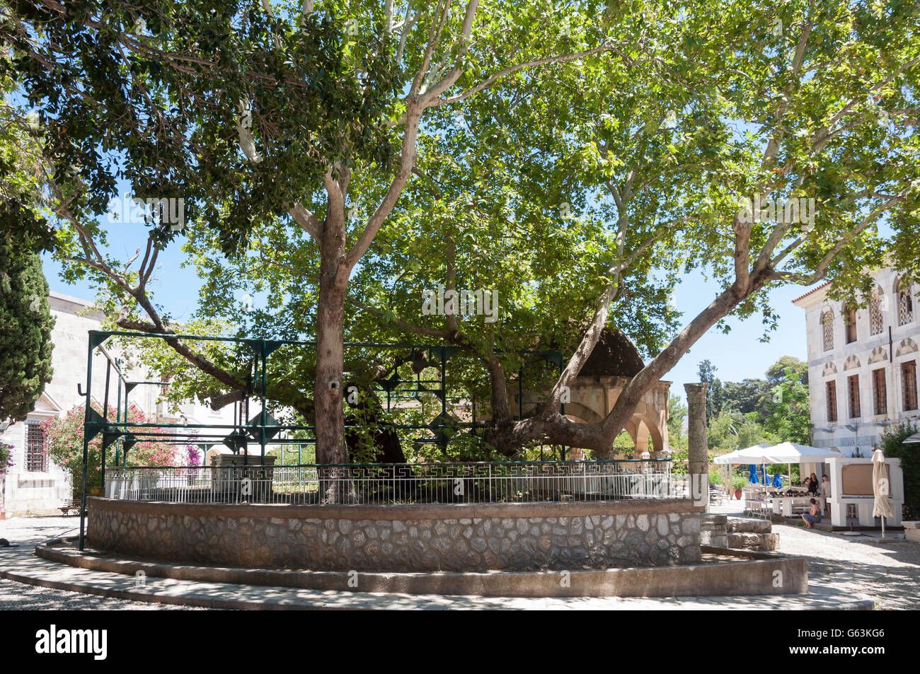 Kos hippocrates hi-res stock photography and images - Alamy