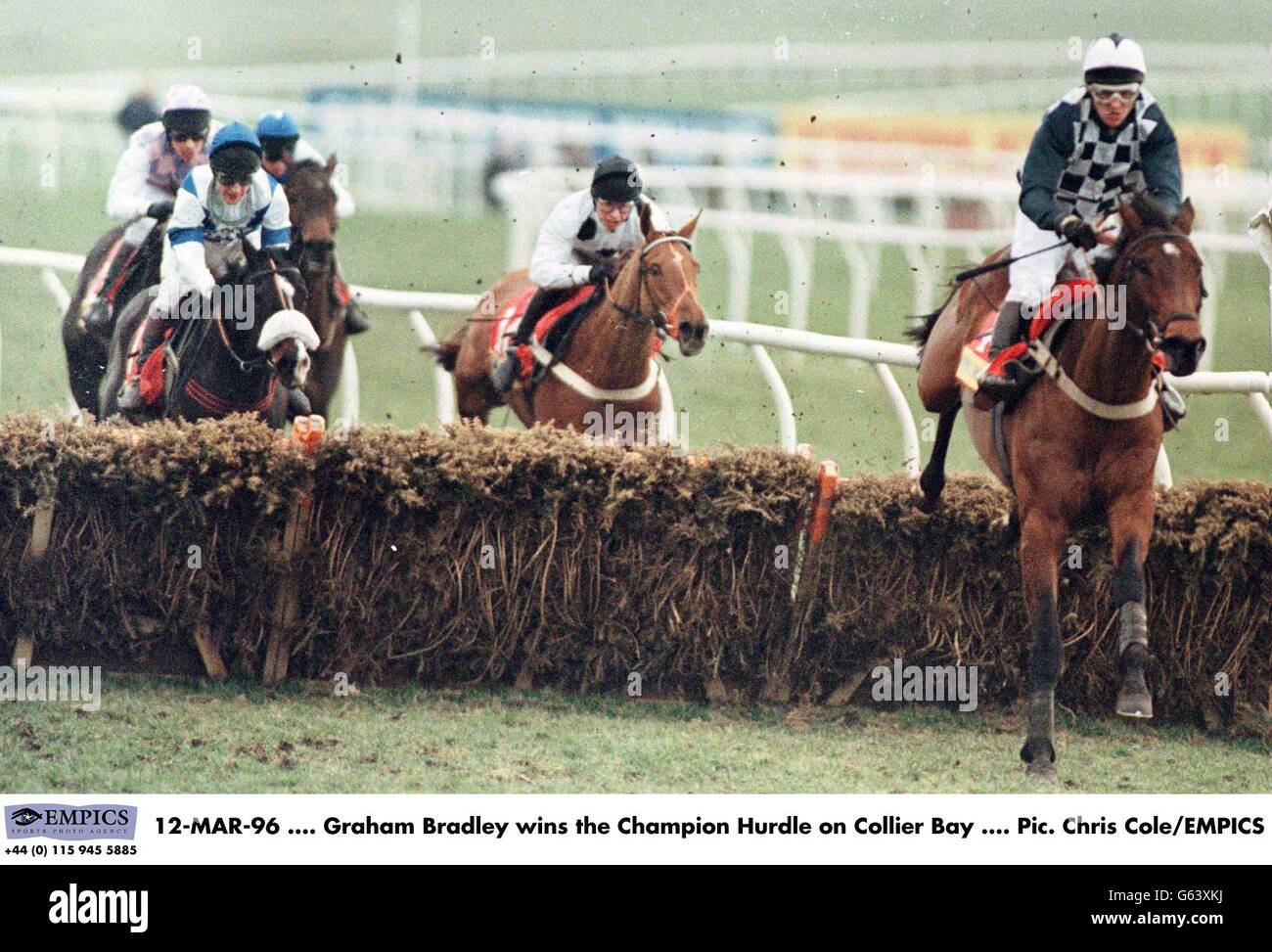 Horse Racing - Cheltenham Festival Stock Photo - Alamy