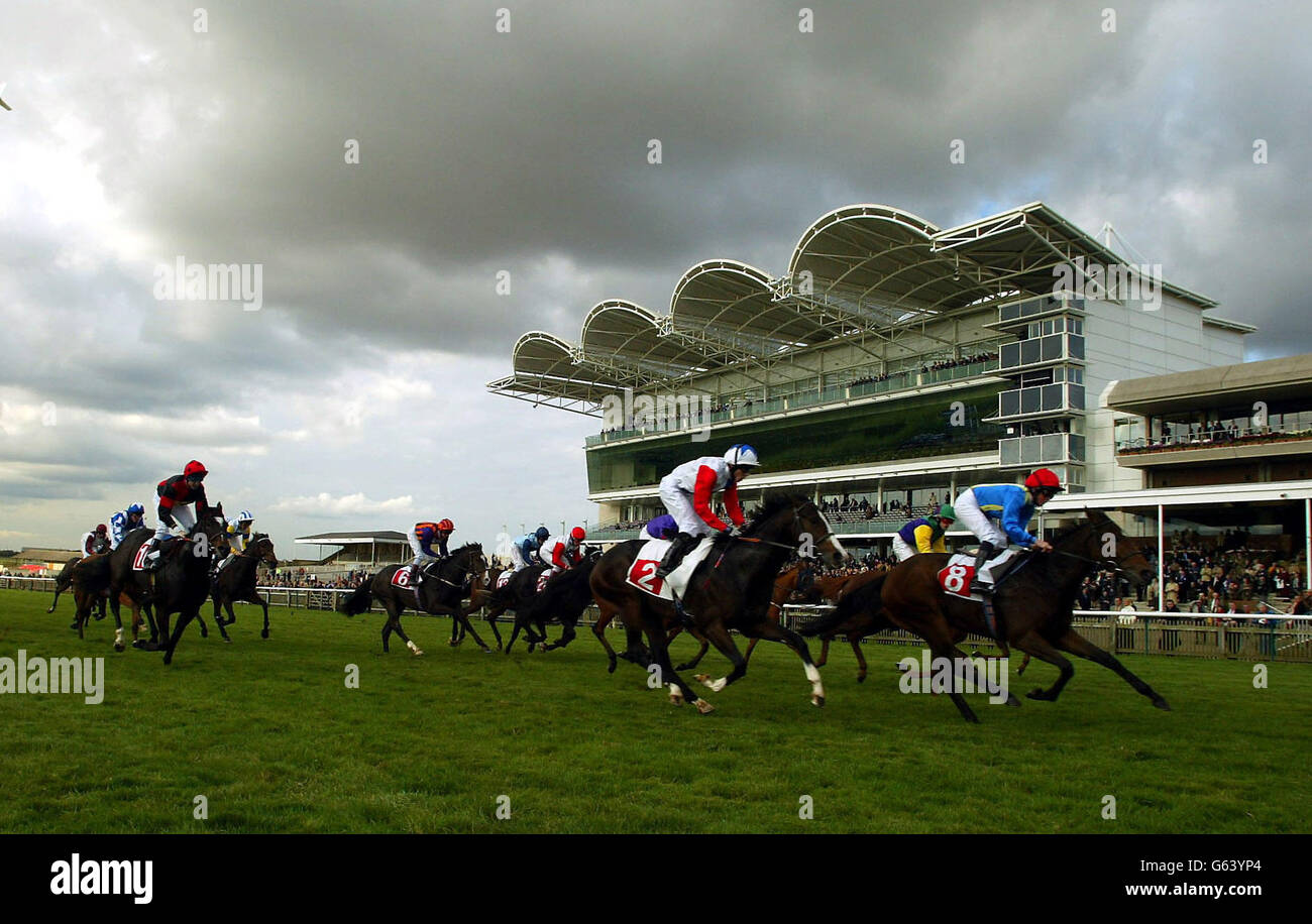 Horses and jockeys cross the winning line with the Millennium Stand as ...