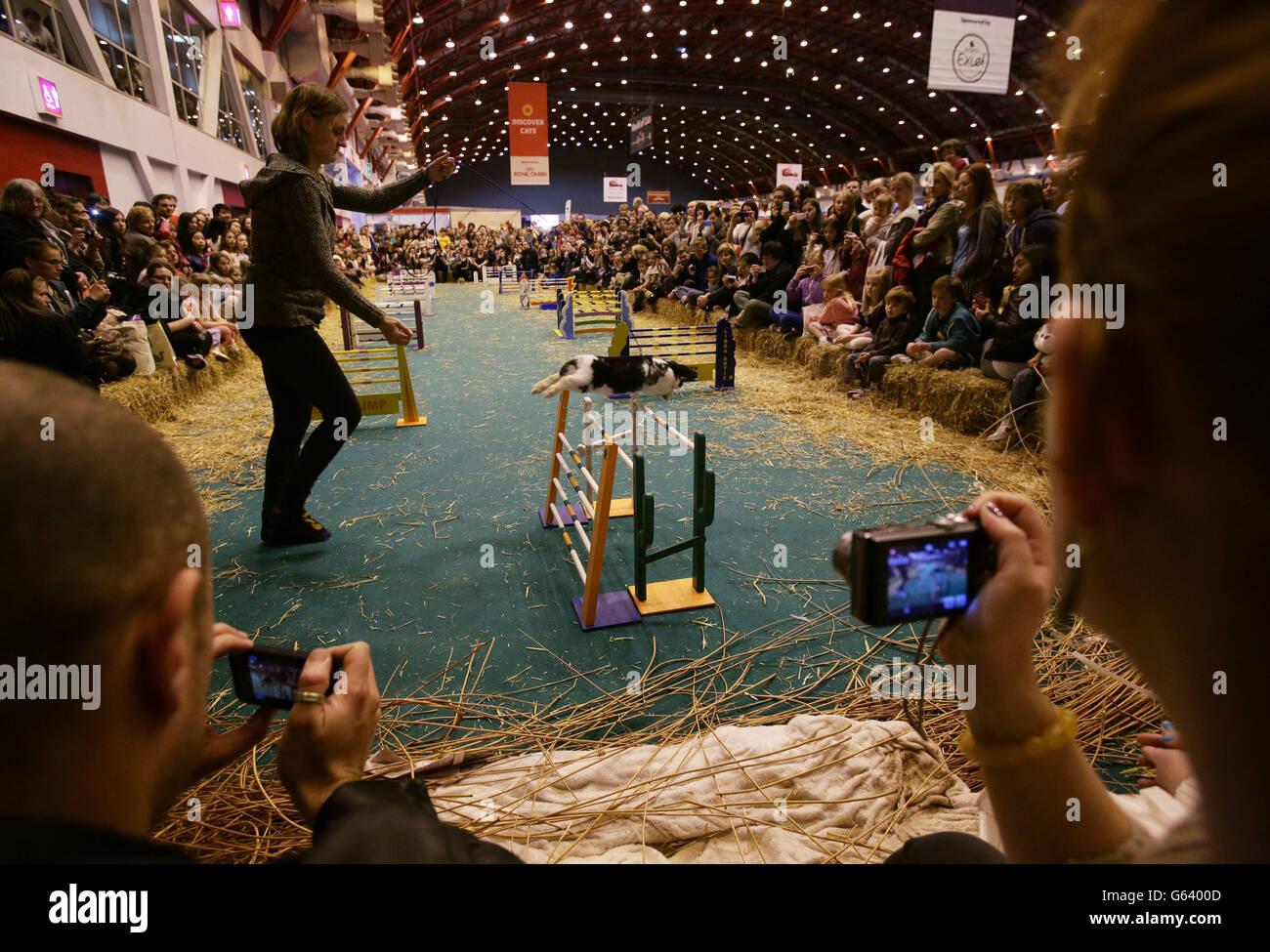 A rabbit show jumping display at the London Pet Show 2013, at Earls ...