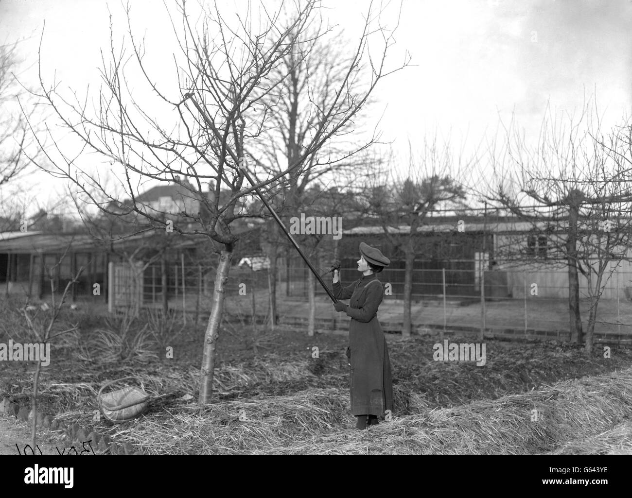 Agriculture - Women at Work - Spring Hall Farm Stock Photo - Alamy