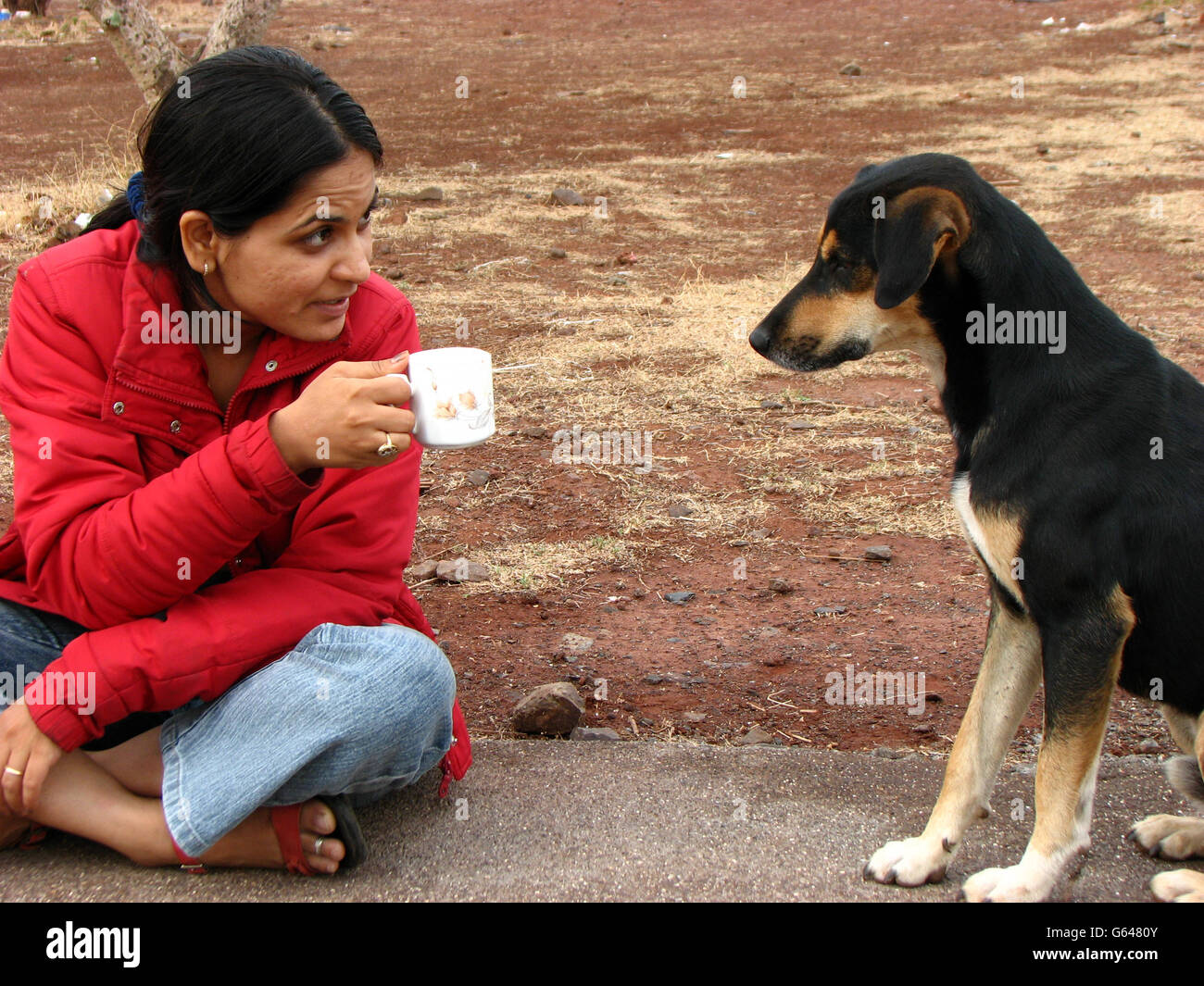 A kind Indian offering a Coffee to a stray dog Stock Photo - Alamy
