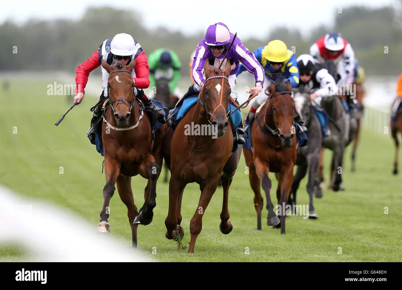 Stewards enquiry horse racing hi-res stock photography and images - Alamy