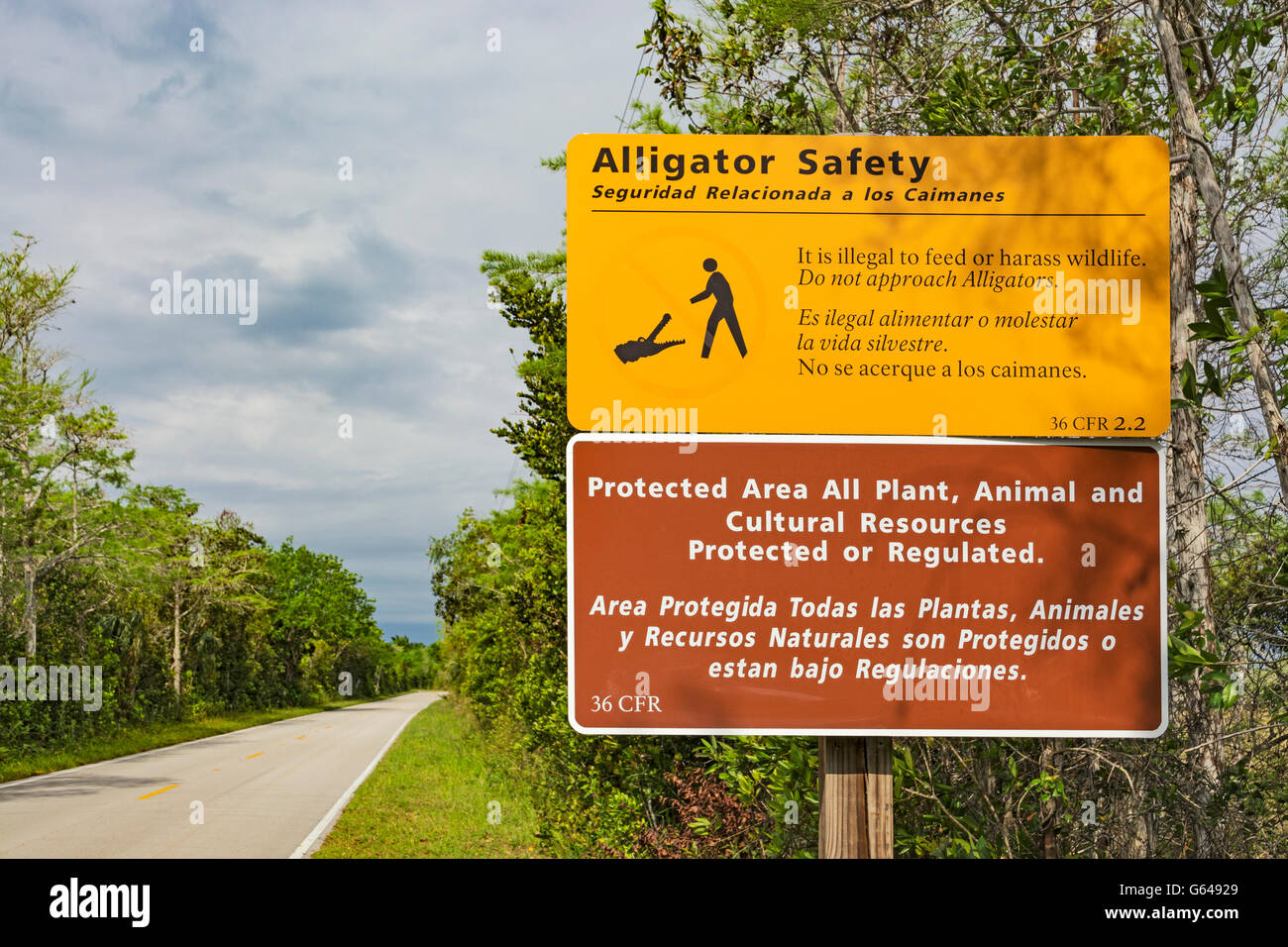 Florida, Big Cypress National Preserve, Loop Road, bilingual alligator ...