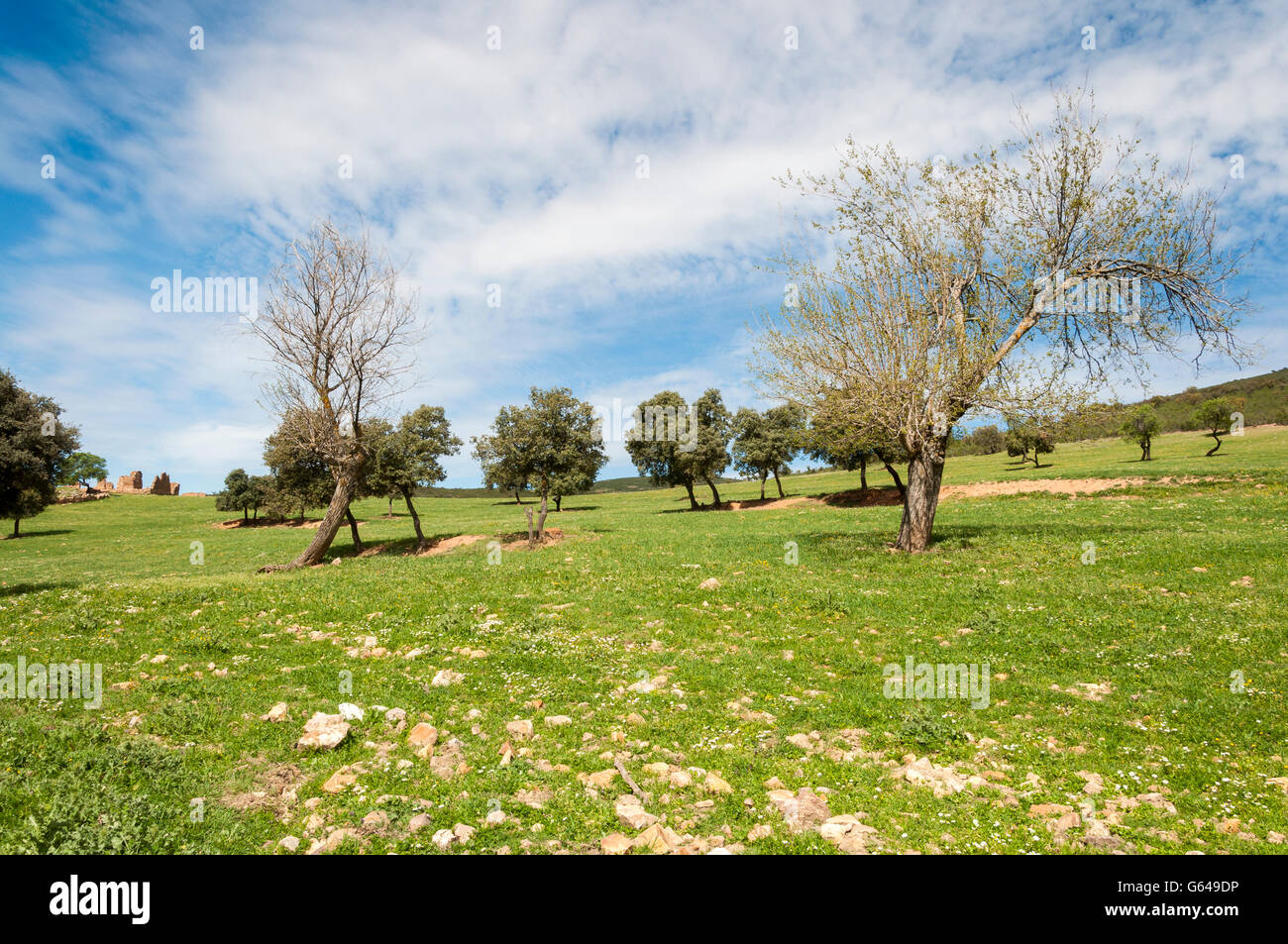 Fallows hi-res stock photography and images - Alamy