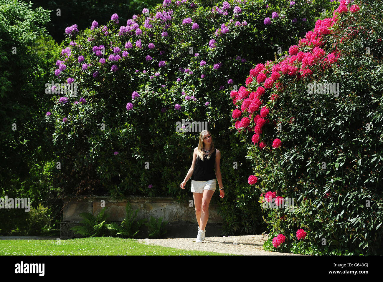Summer weather June 19 Stock Photo - Alamy