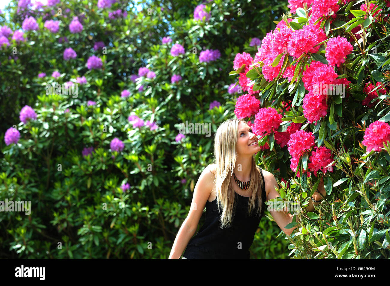 Summer weather June 19 Stock Photo - Alamy