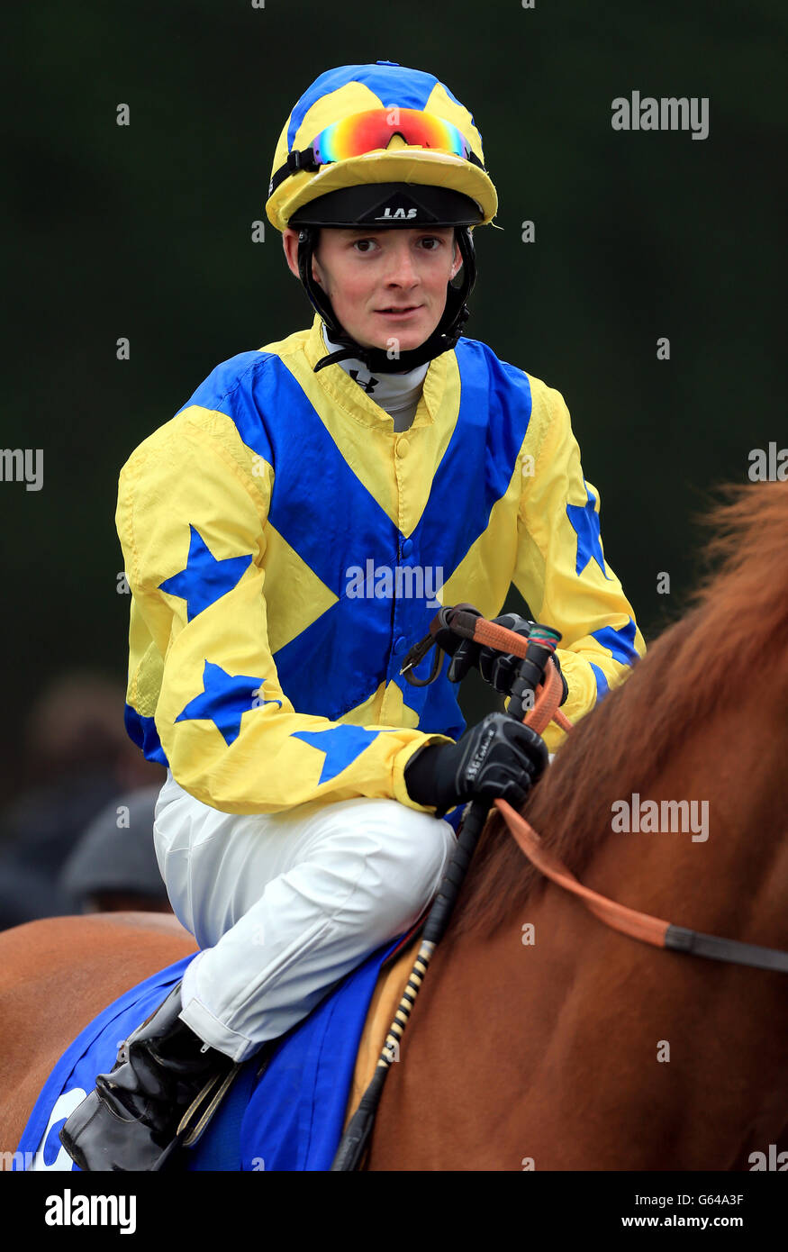 Horse Racing - Nottingham Races Stock Photo - Alamy