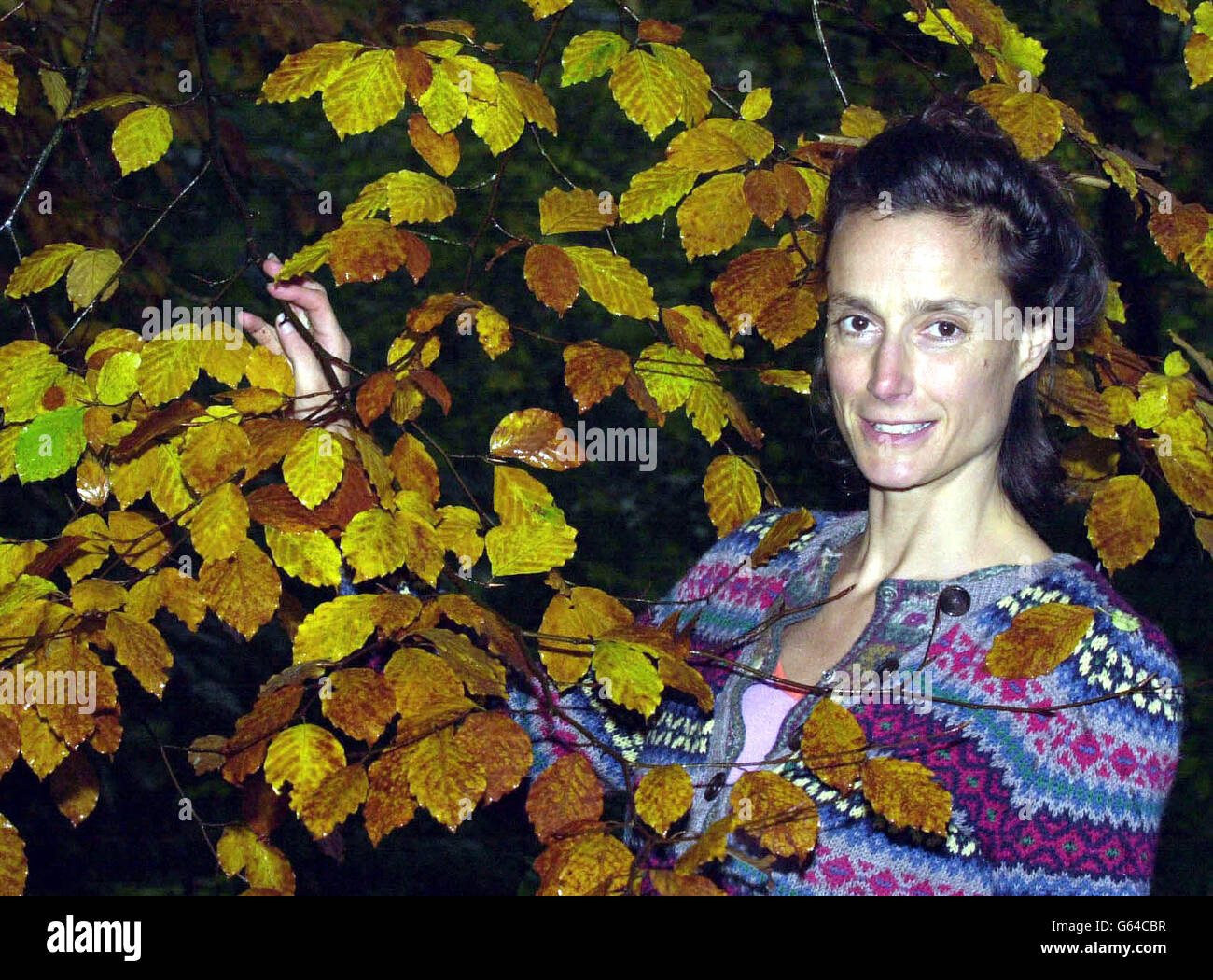 Worcester woods hi-res stock photography and images - Alamy